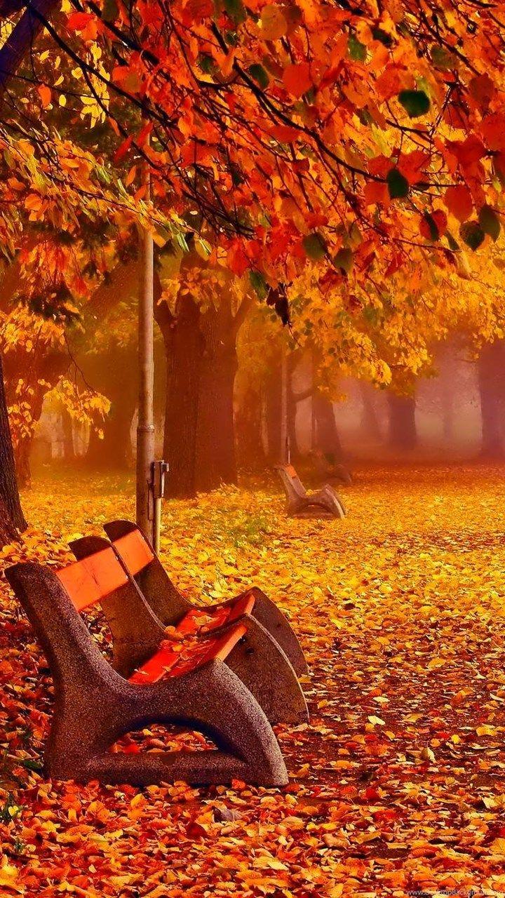 November Autumn Wallpapers - Top Free November Autumn Backgrounds ...