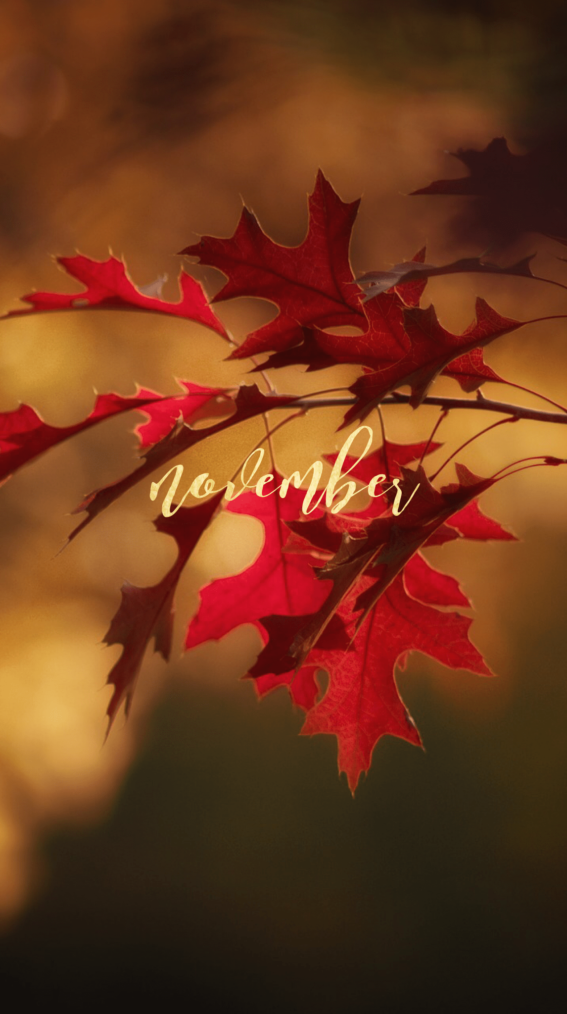 November Autumn Wallpapers - Top Free November Autumn Backgrounds ...