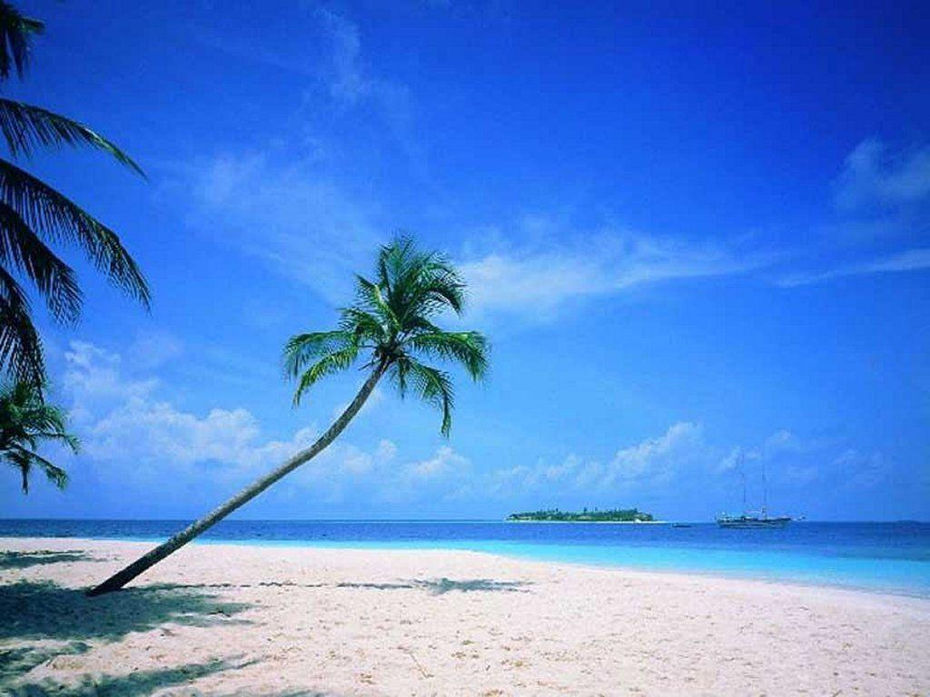 Cool Beach Wallpapers - Top Free Cool Beach Backgrounds - WallpaperAccess