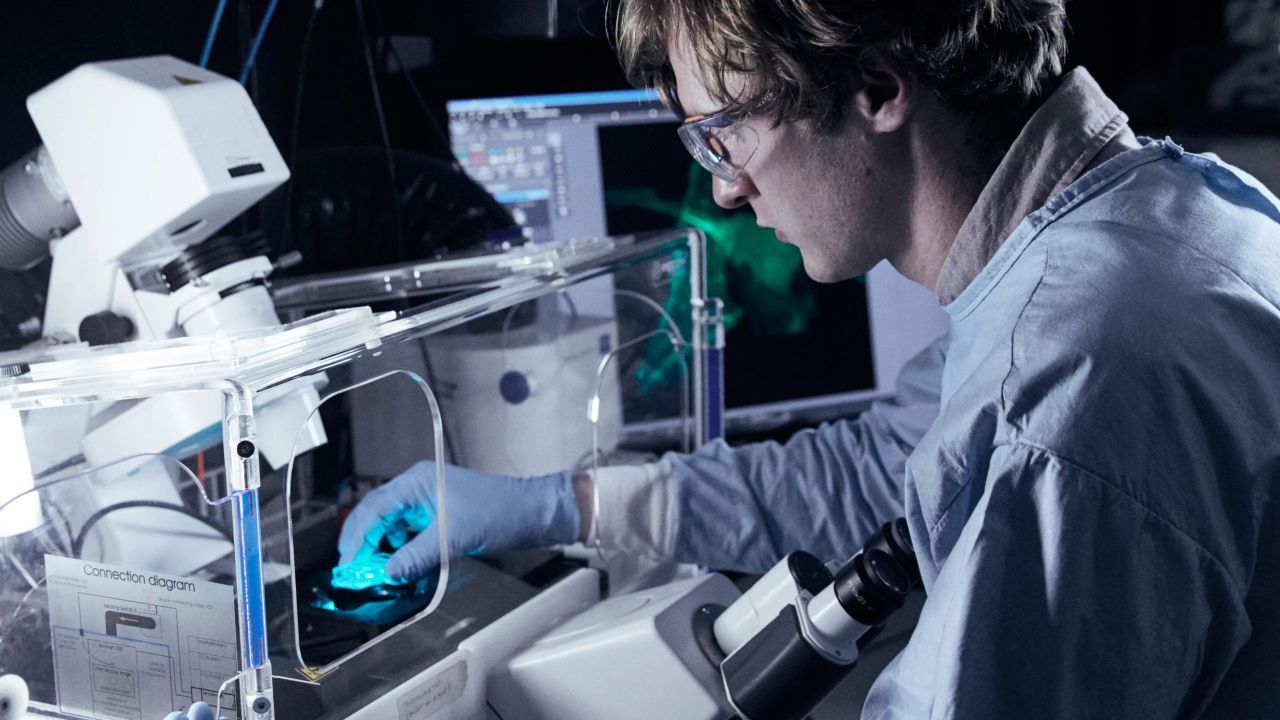 Biomedicine Wallpapers - Top Free Biomedicine Backgrounds - WallpaperAccess