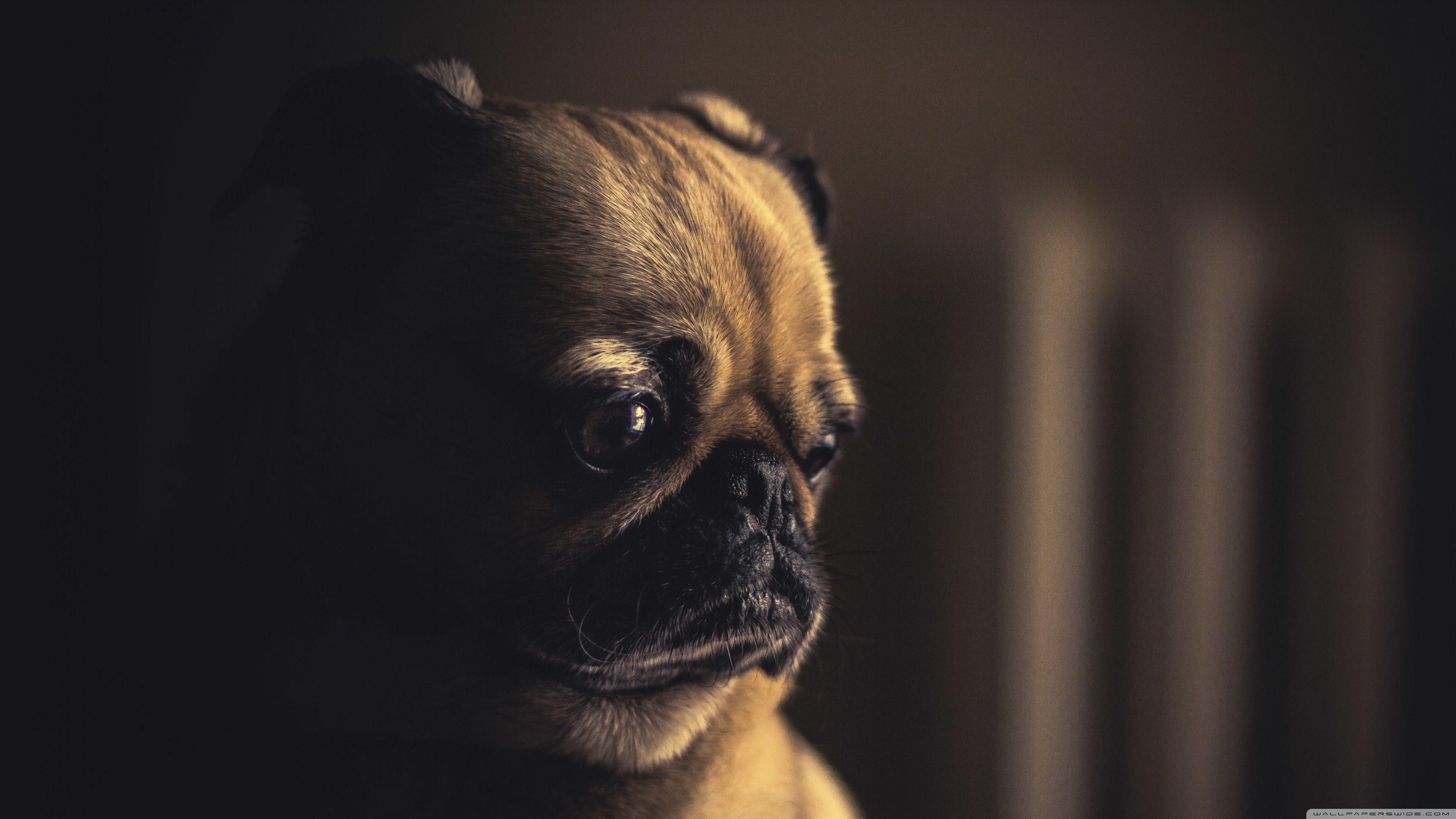 Sad 4K Wallpapers - Top Free Sad 4K Backgrounds - WallpaperAccess