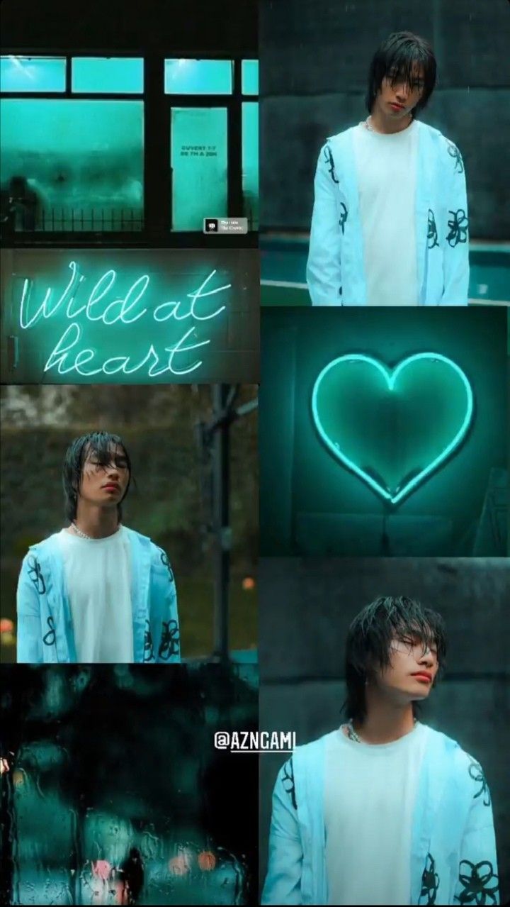 NSB Wallpapers - Top Free NSB Backgrounds - WallpaperAccess