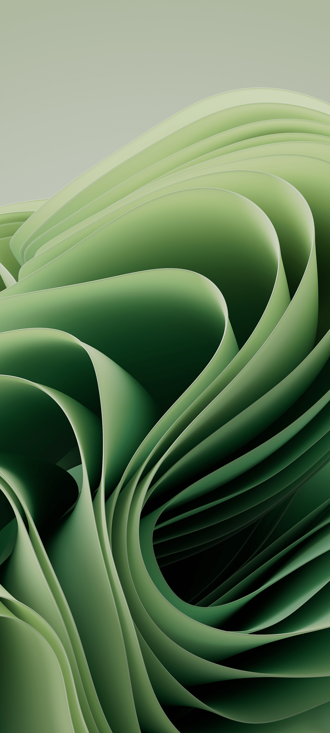 Full Green Wallpapers - Top Free Full Green Backgrounds - WallpaperAccess