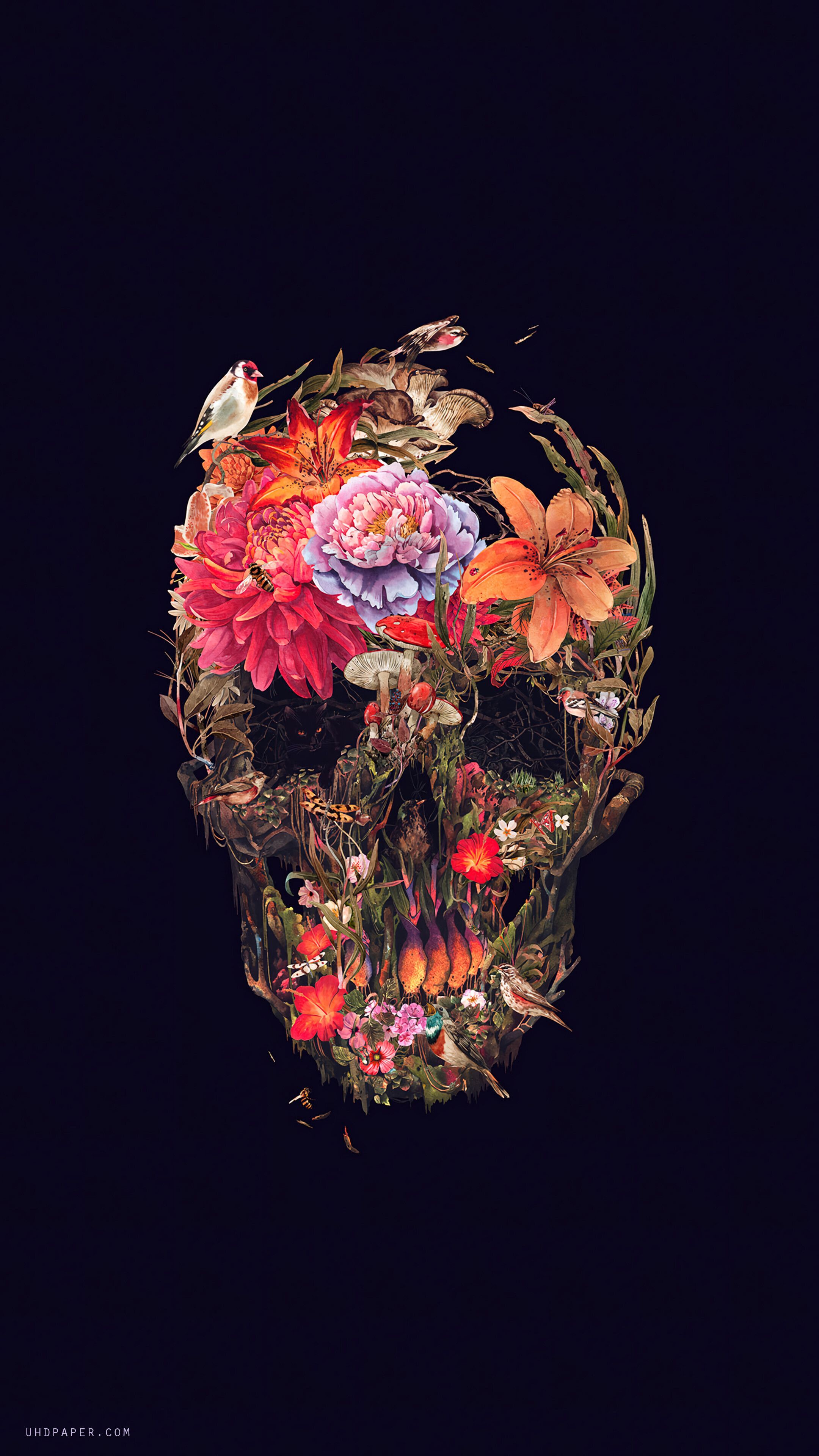 Skull Flowers Wallpapers - Top Free Skull Flowers Backgrounds ...