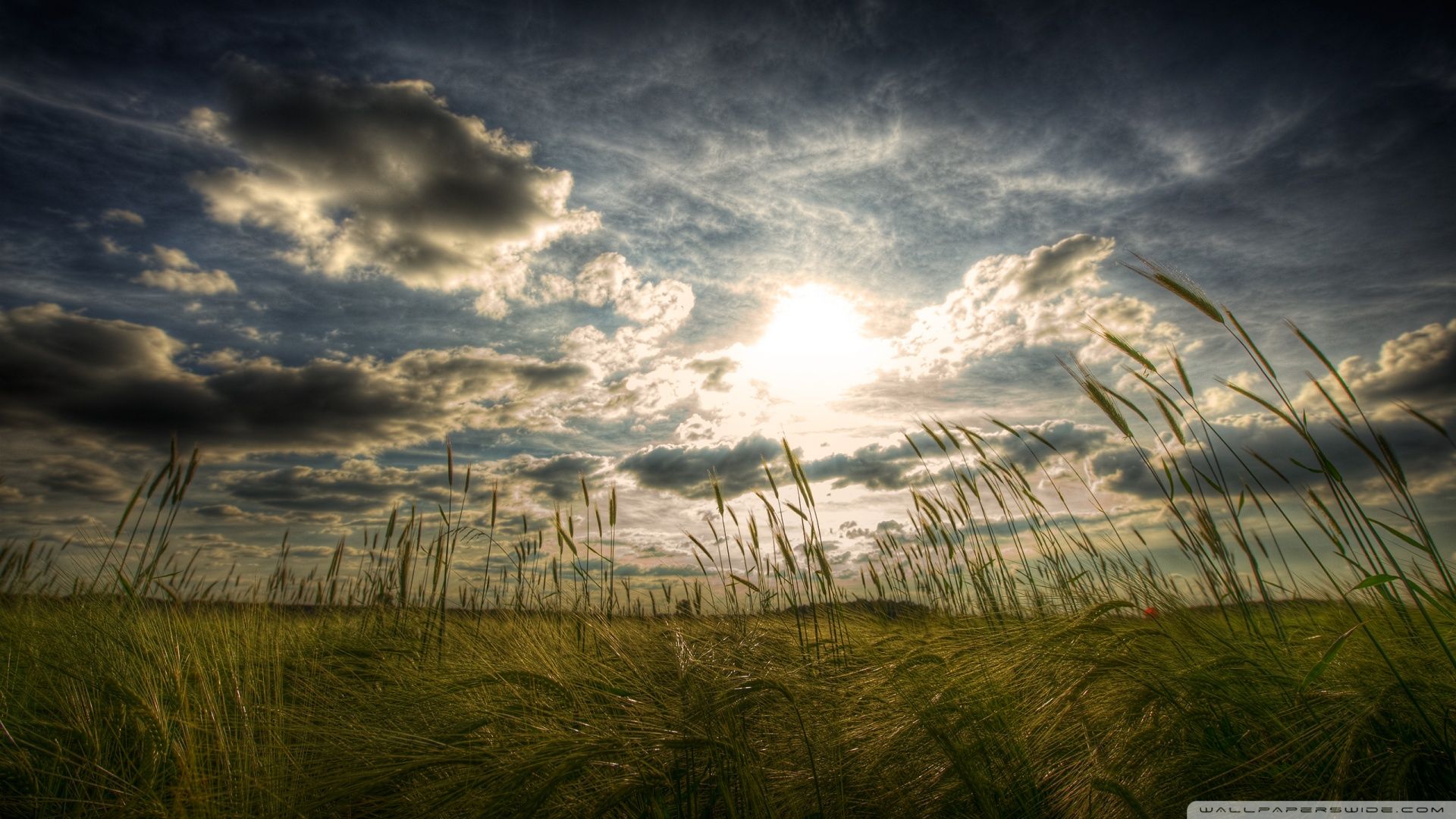 Peace Full Wallpapers - Top Free Peace Full Backgrounds - WallpaperAccess