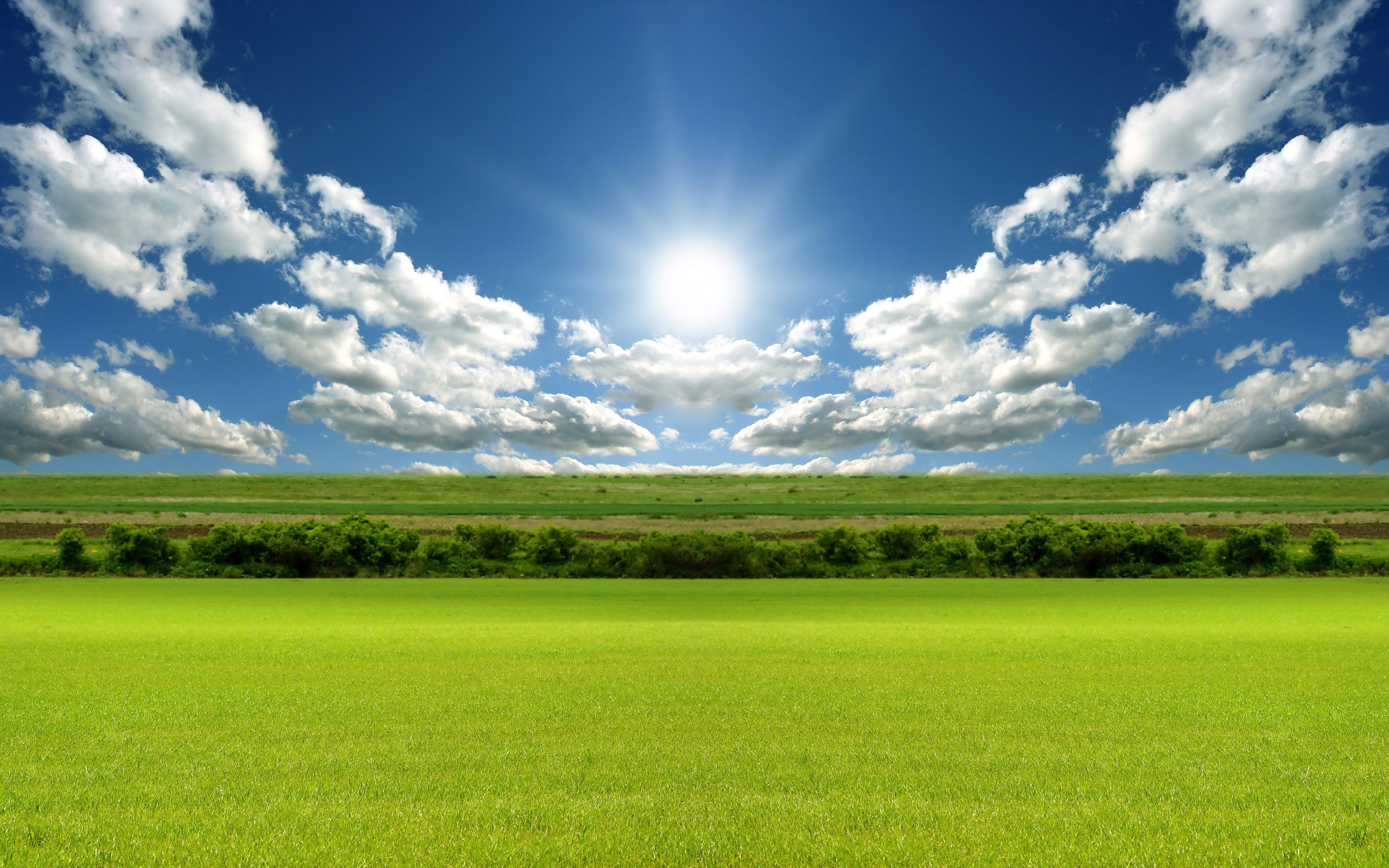 Peace Full Wallpapers - Top Free Peace Full Backgrounds - WallpaperAccess