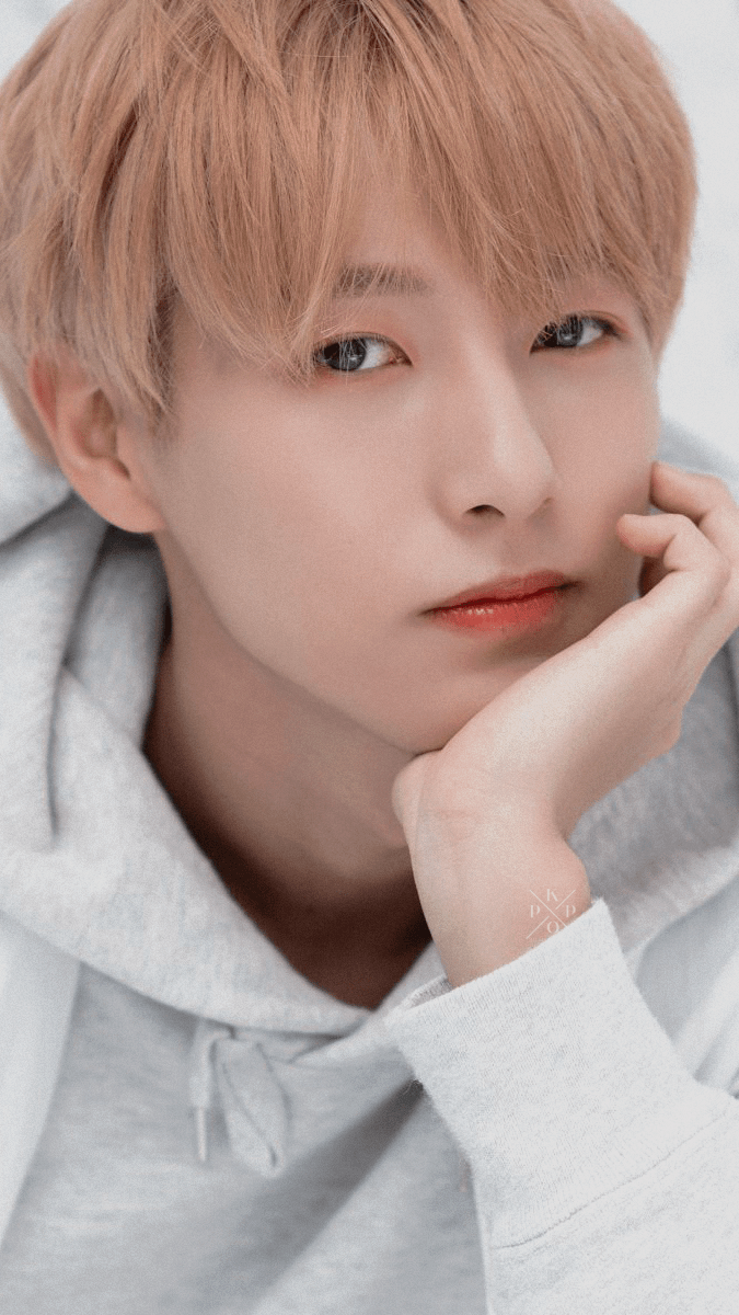 Renjun Wallpapers - Top Free Renjun Backgrounds - WallpaperAccess