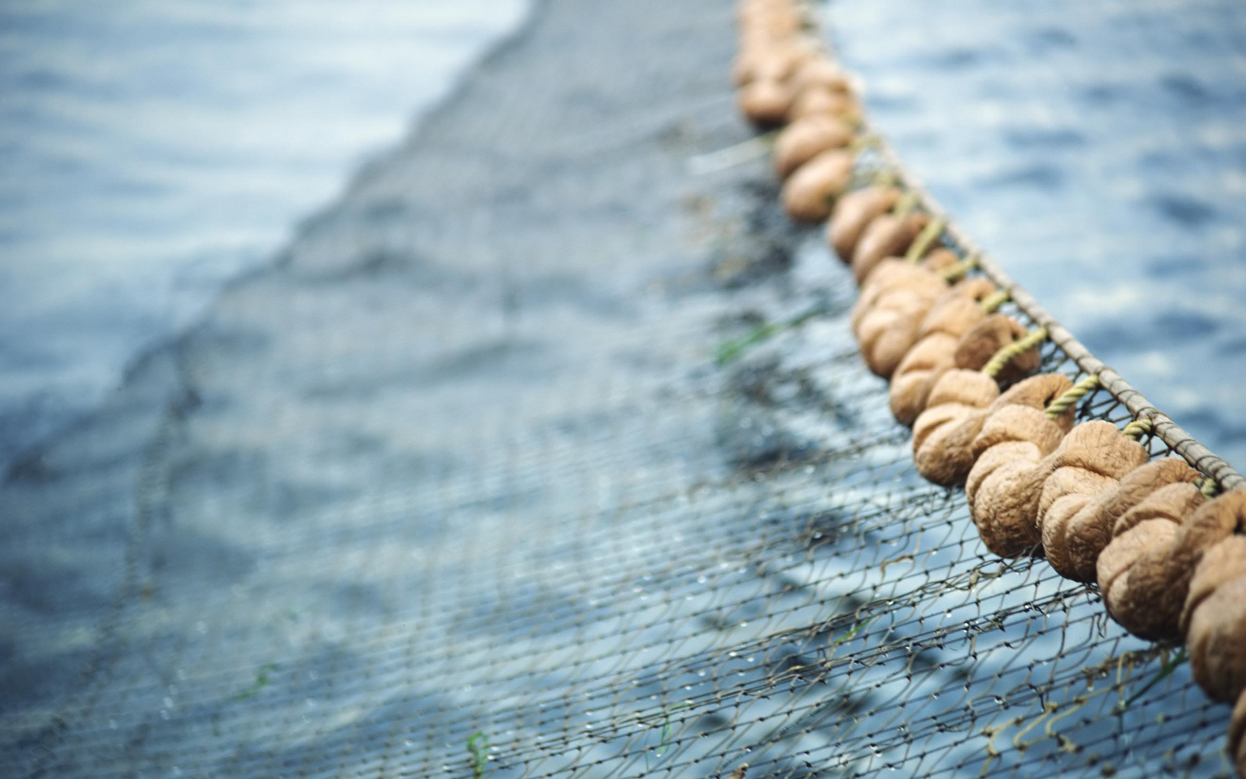 Fishing Net Wallpapers - Top Free Fishing Net Backgrounds - WallpaperAccess