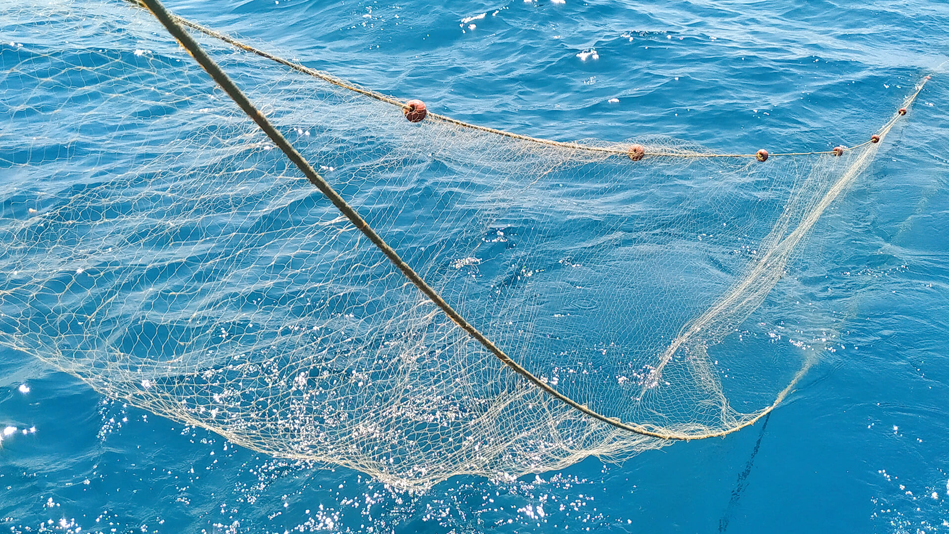 Fishing Net Wallpapers - Top Free Fishing Net Backgrounds - WallpaperAccess