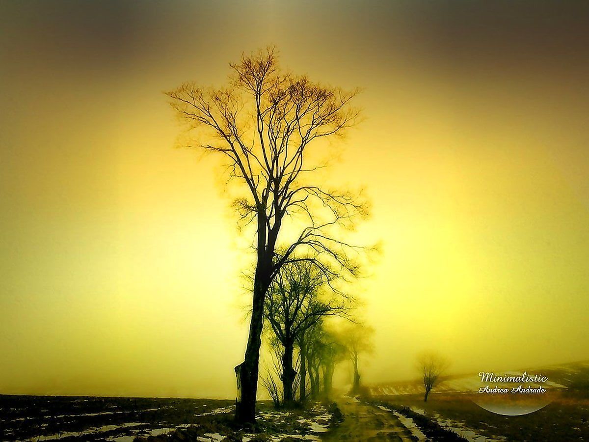 Bright Future Wallpapers - Top Free Bright Future Backgrounds - WallpaperAccess