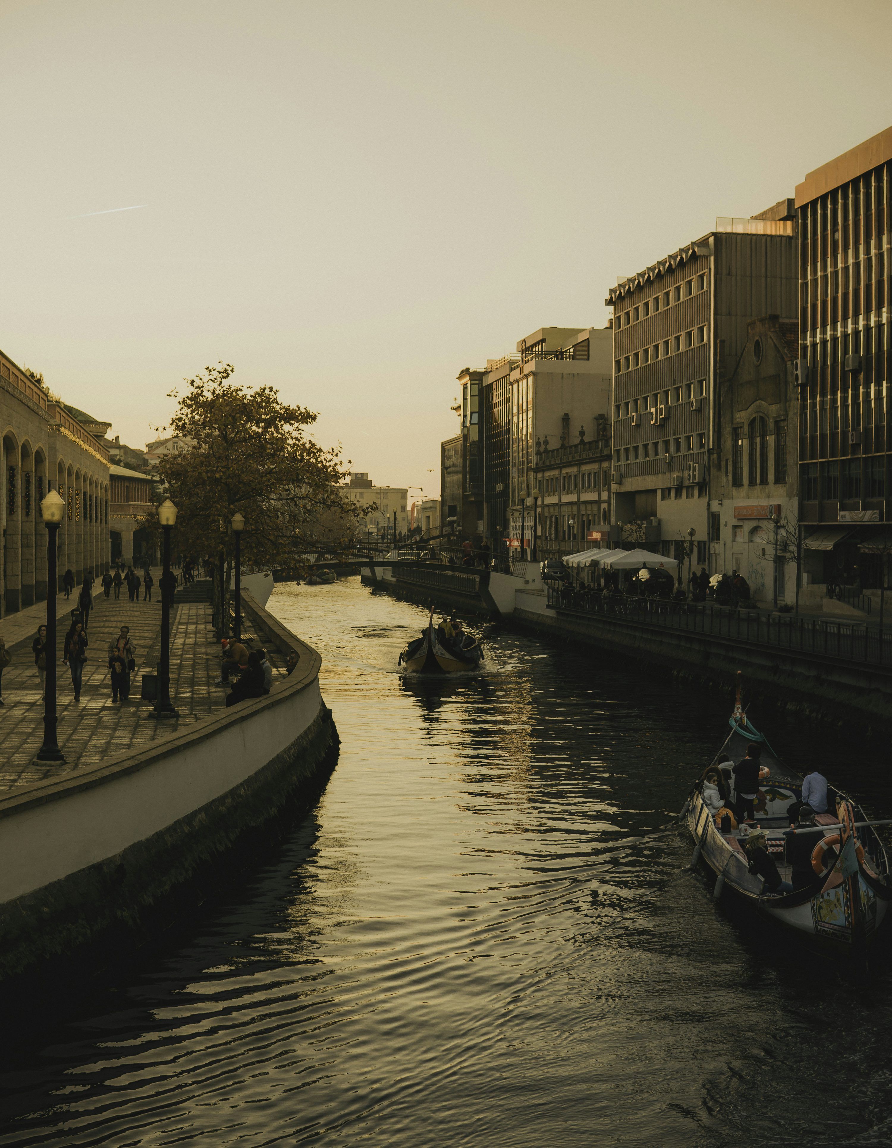 Aveiro Wallpapers - Top Free Aveiro Backgrounds - WallpaperAccess