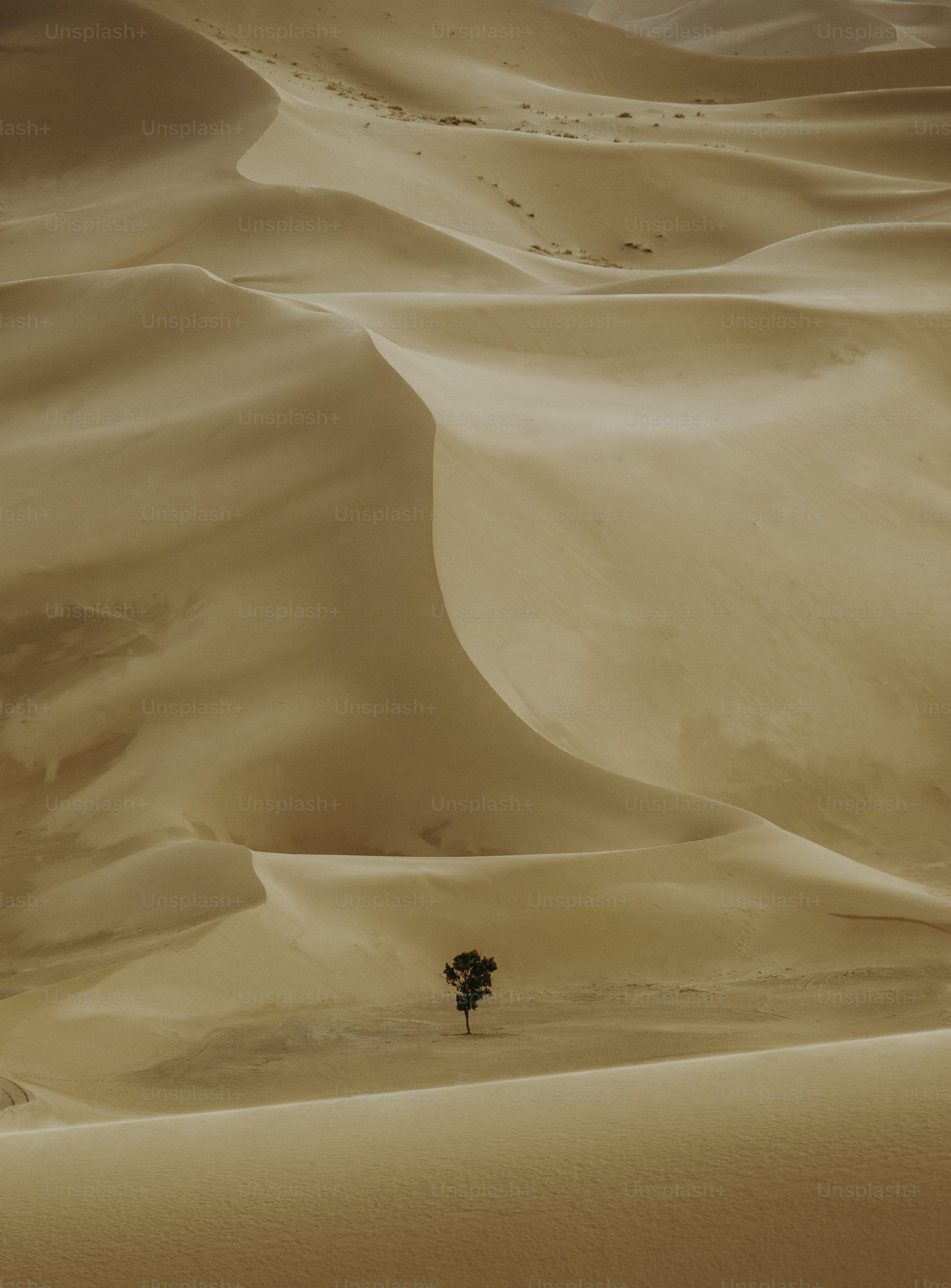 Gobi Desert Wallpapers - Top Free Gobi Desert Backgrounds - WallpaperAccess