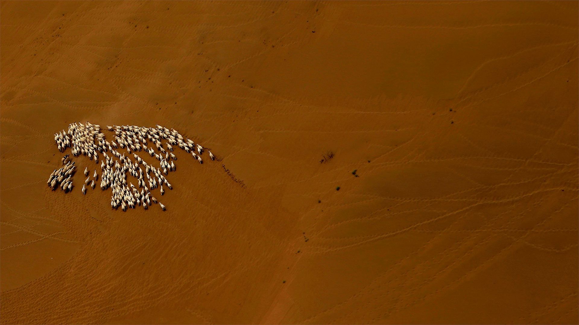 Gobi Desert Wallpapers - Top Free Gobi Desert Backgrounds - WallpaperAccess