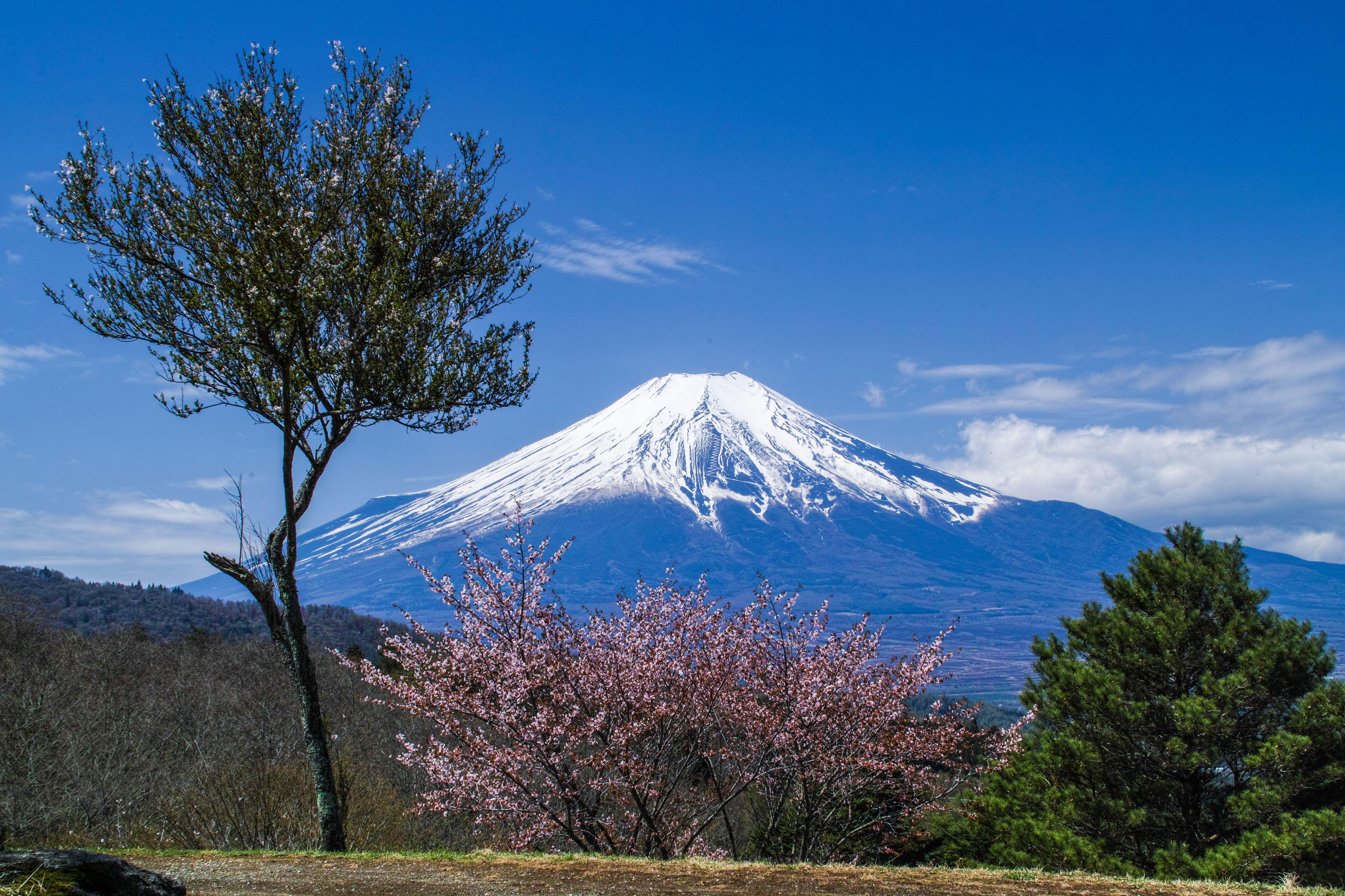 Fuji Mountain Wallpapers - Top Free Fuji Mountain Backgrounds ...