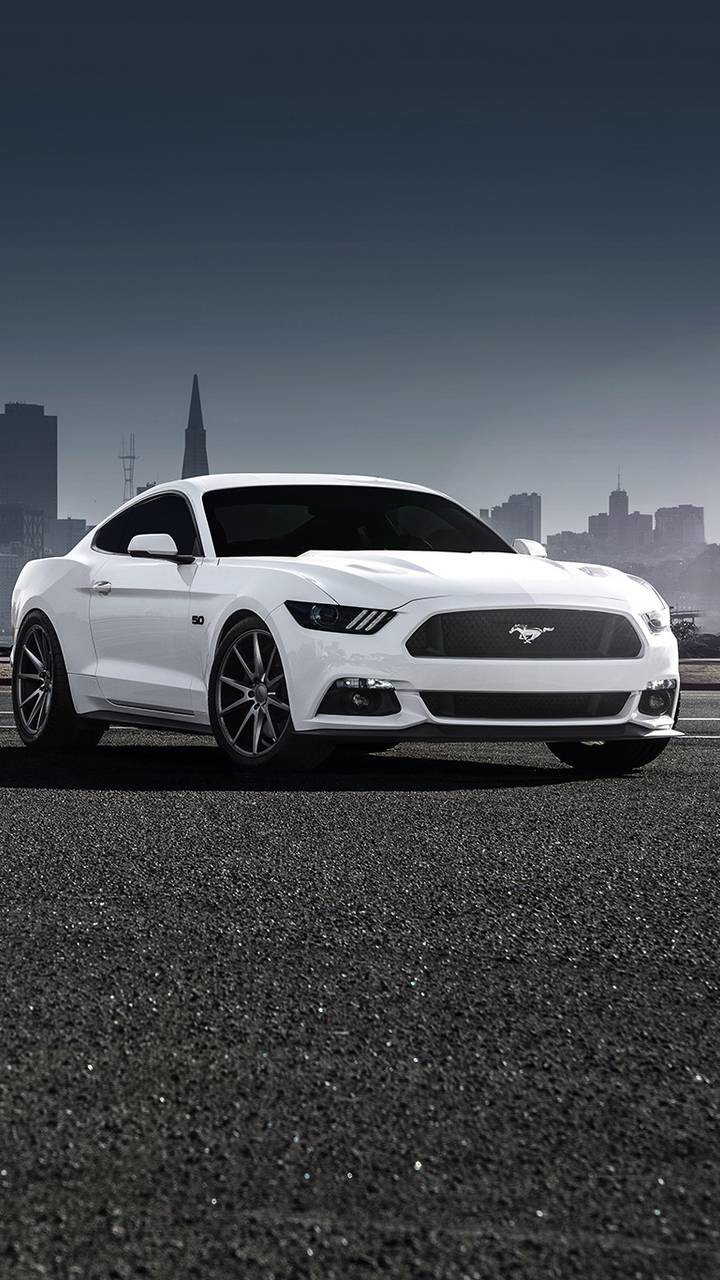 Ford Mustang GT Wallpapers - Top Free Ford Mustang GT Backgrounds ...