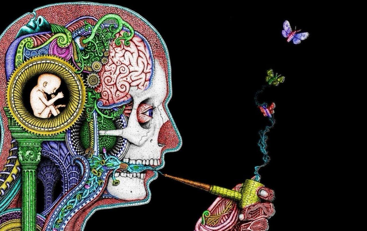 Human Wallpapers - Top Free Human Backgrounds - WallpaperAccess