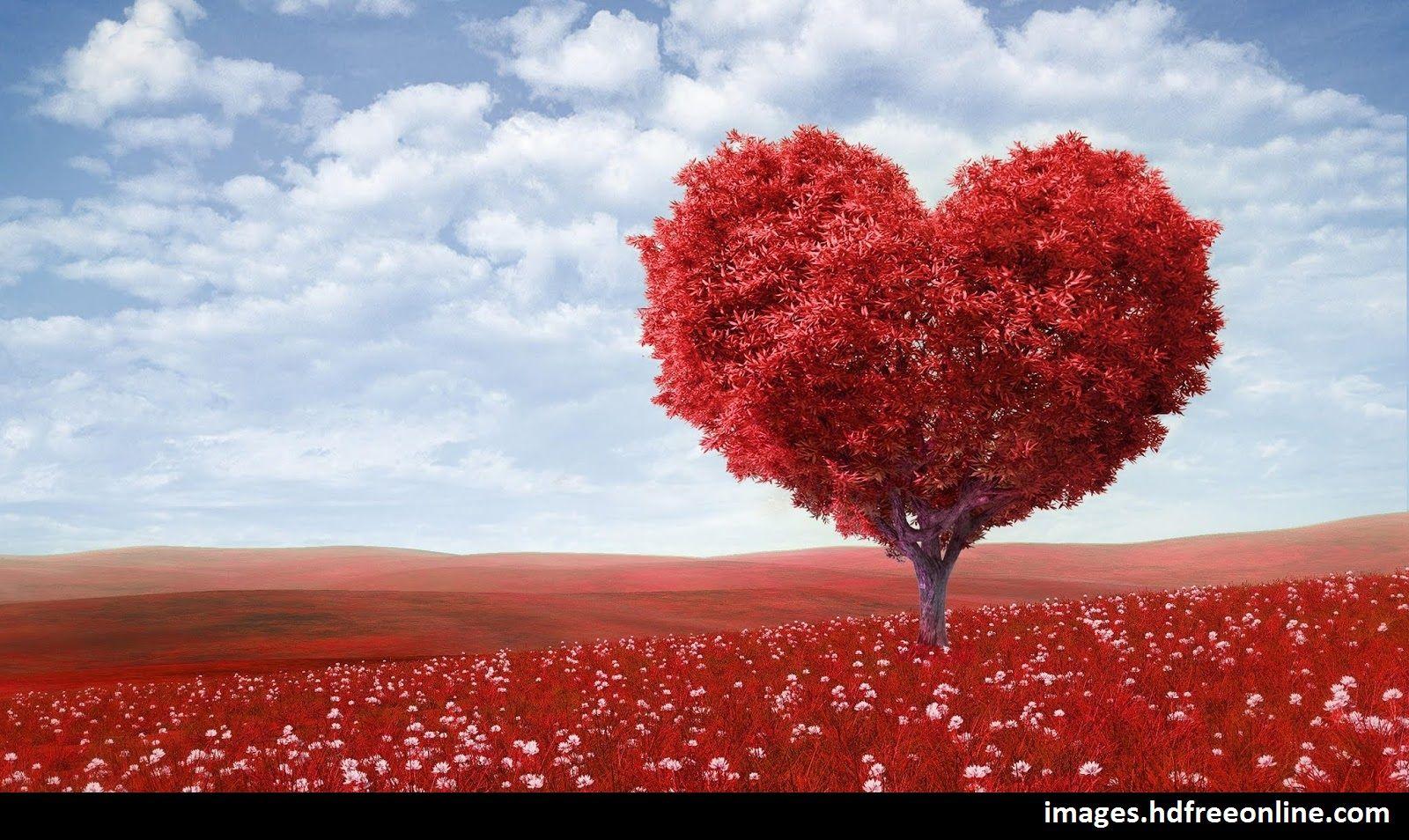 Cute Tree Wallpapers - Top Free Cute Tree Backgrounds - WallpaperAccess