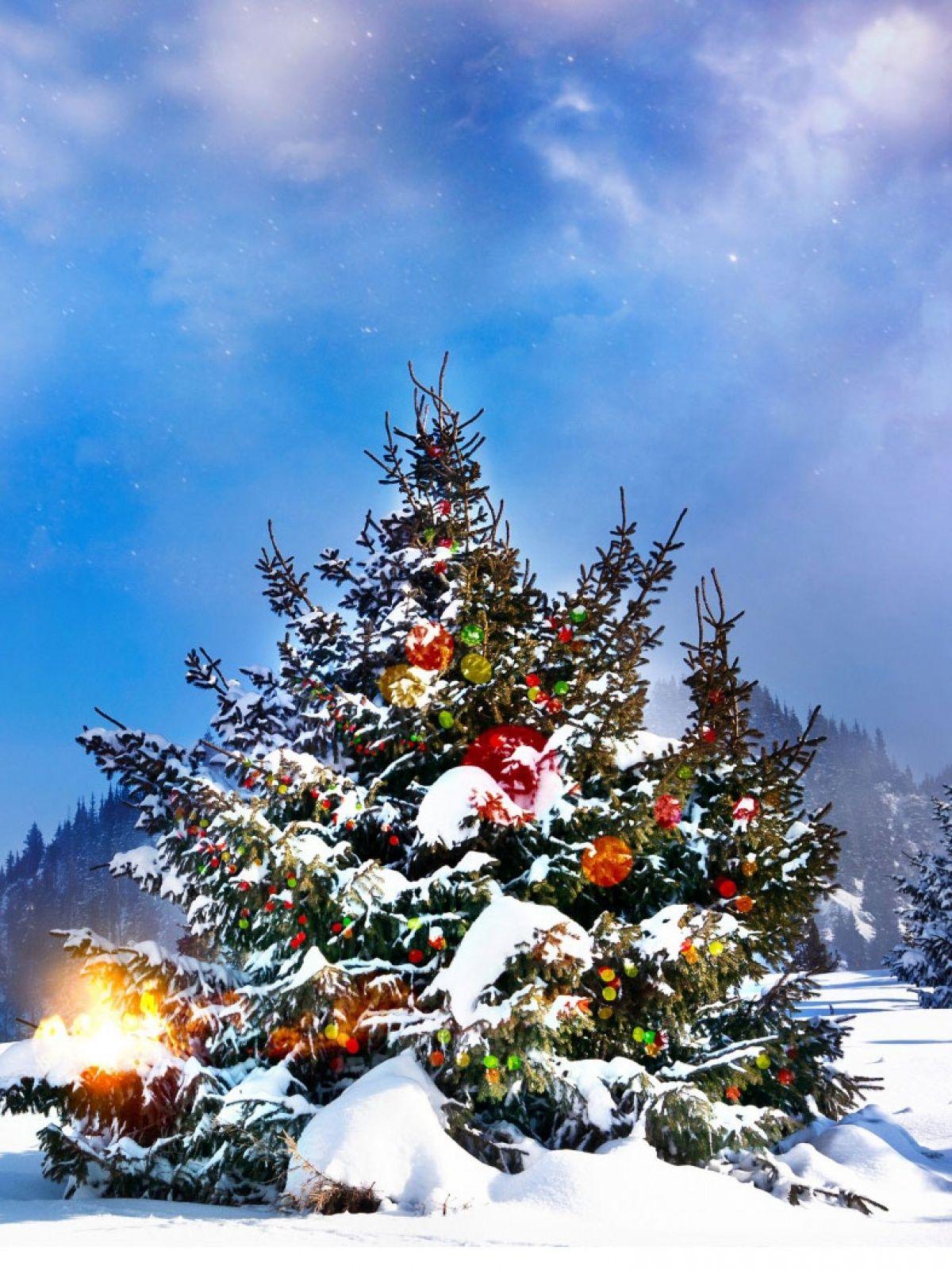 Christmas Cell Phone Wallpapers - Top Free Christmas Cell Phone ...