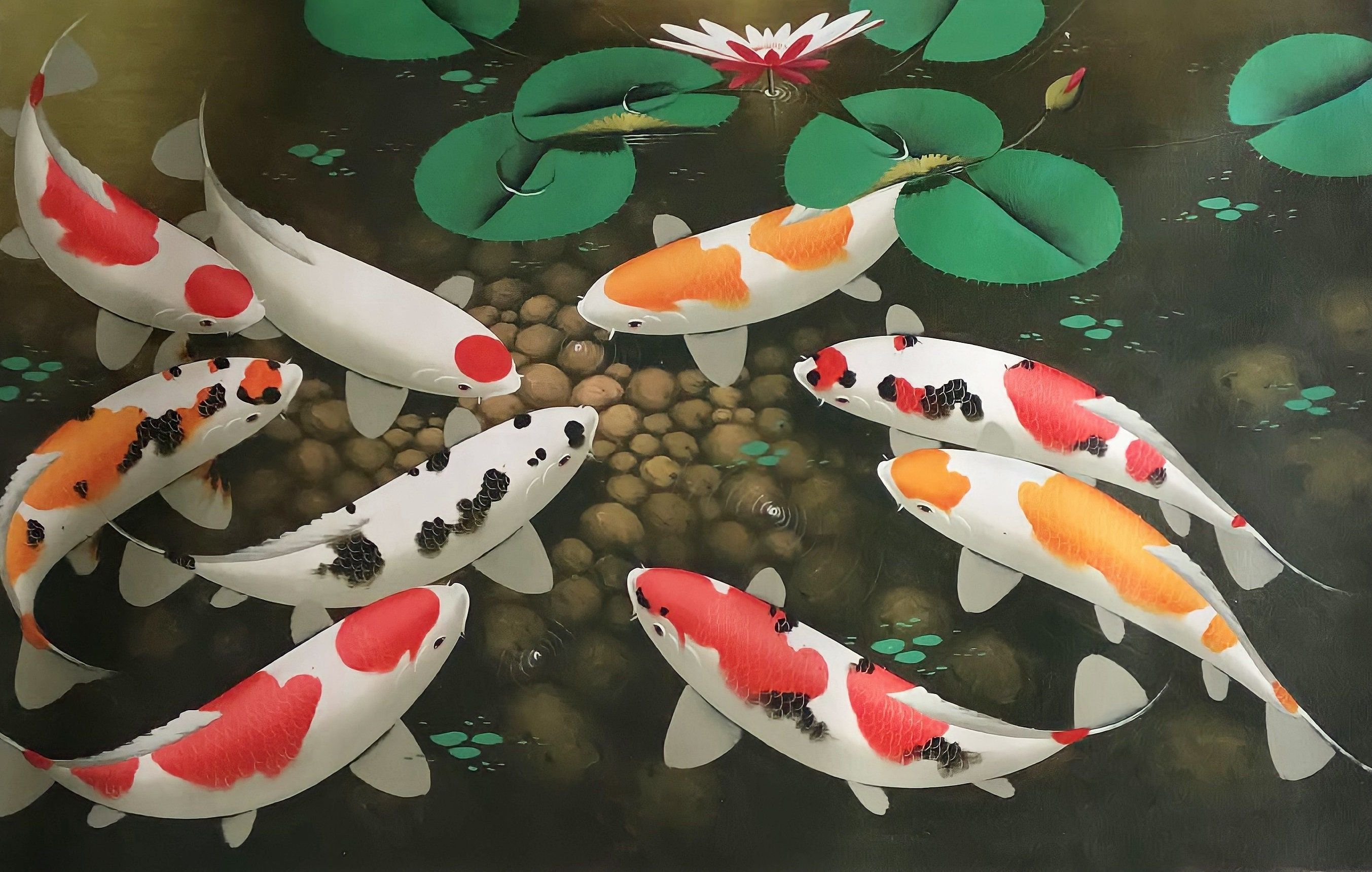 9 Koi Wallpapers - Top Free 9 Koi Backgrounds - WallpaperAccess