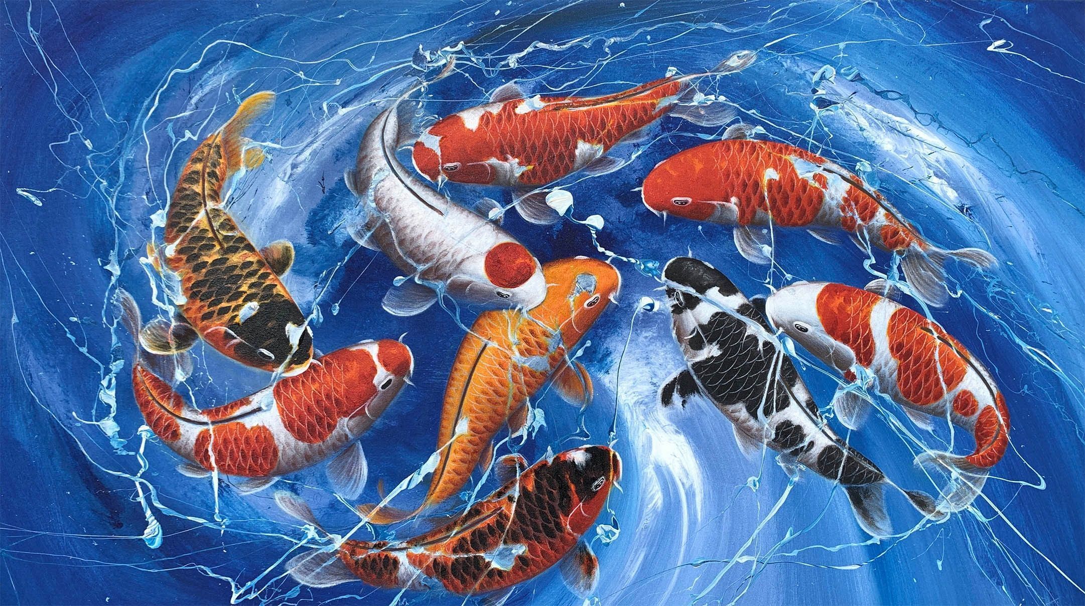 9 Koi Wallpapers - Top Free 9 Koi Backgrounds - WallpaperAccess