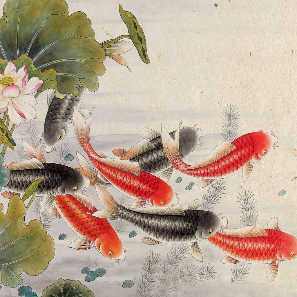 9 Koi Wallpapers - Top Free 9 Koi Backgrounds - WallpaperAccess