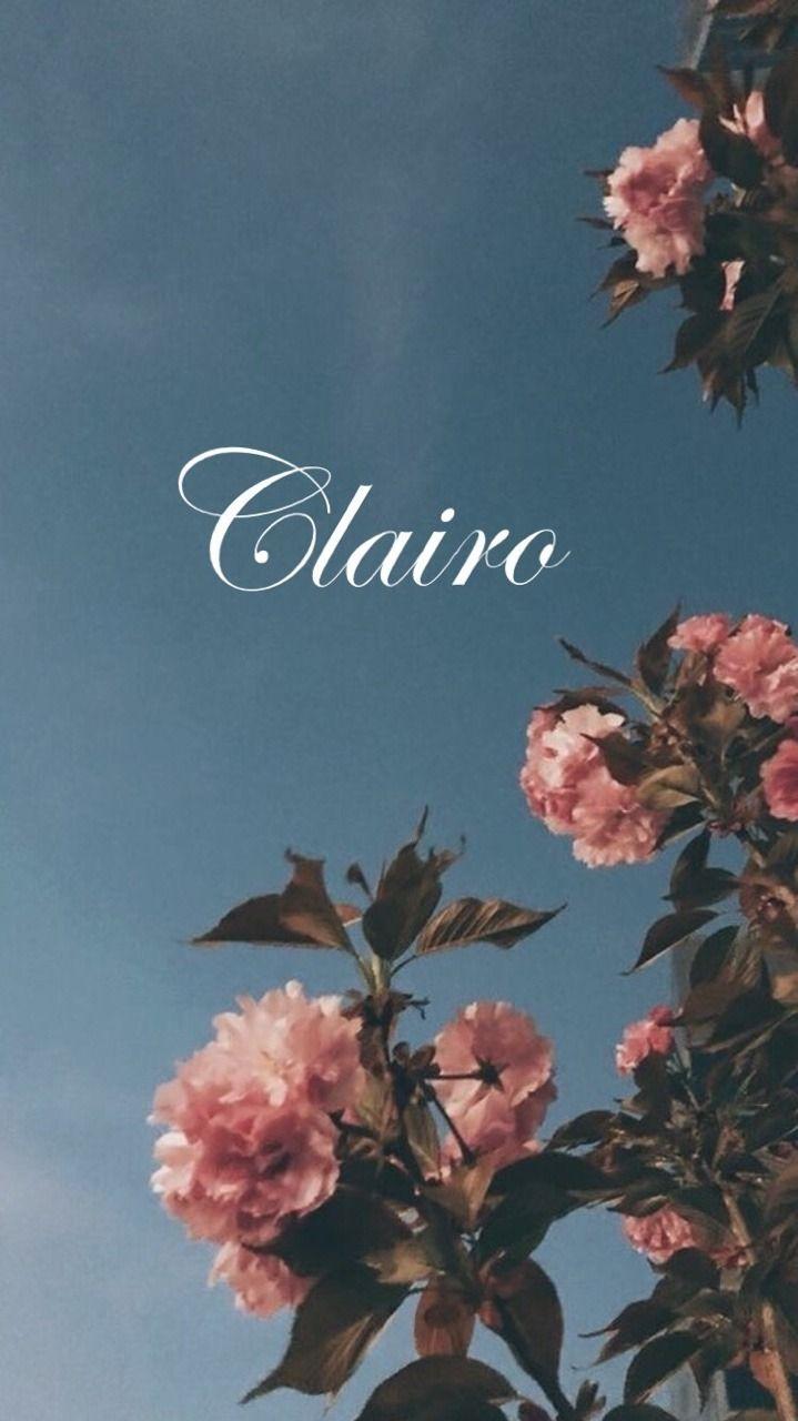 Clairo Wallpapers - Top Free Clairo Backgrounds - WallpaperAccess