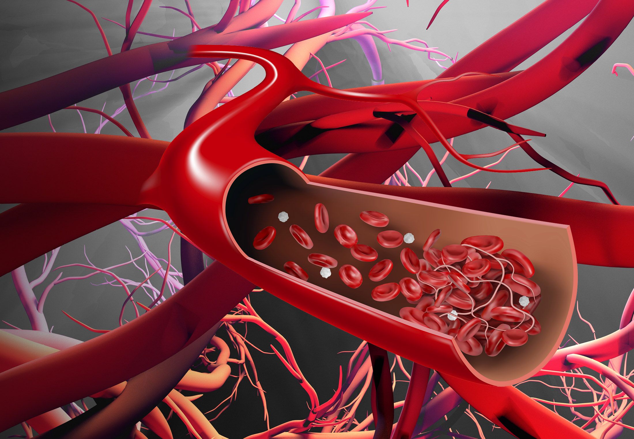 Blood Vessels Wallpapers - Top Free Blood Vessels Backgrounds ...