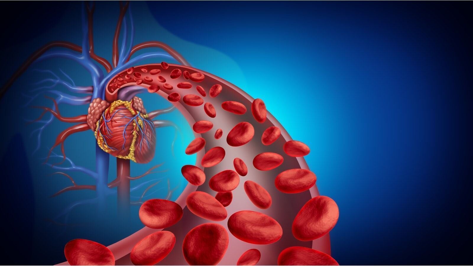 Blood Vessels Wallpapers - Top Free Blood Vessels Backgrounds ...