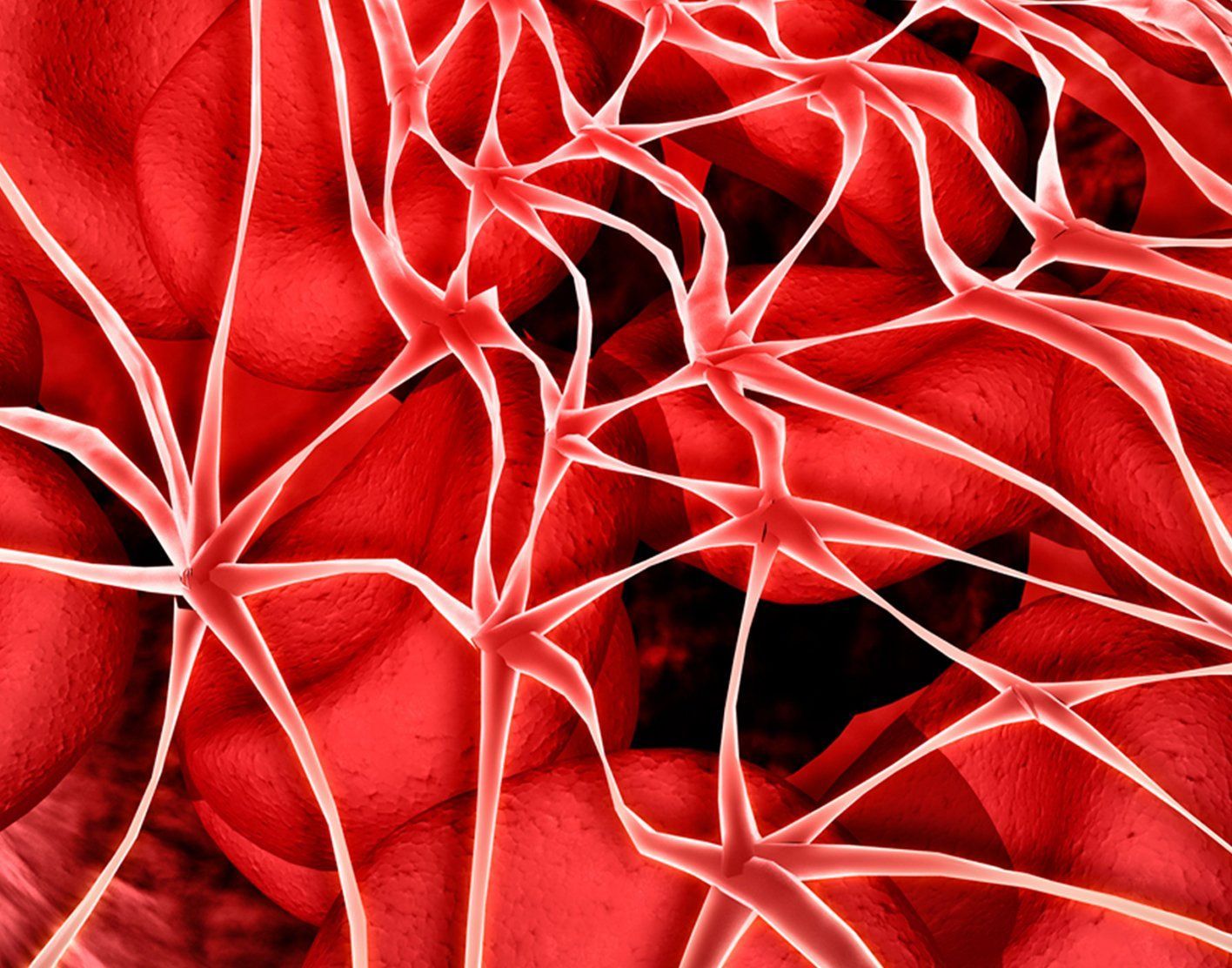 Blood Vessels Wallpapers - Top Free Blood Vessels Backgrounds ...