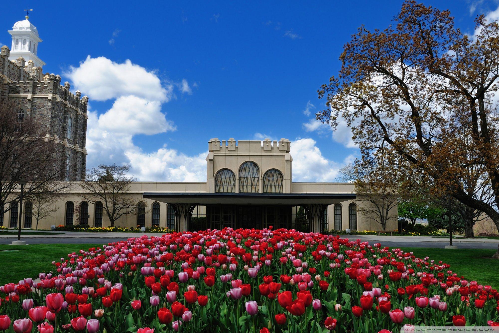 LDS iPhone Wallpapers - Top Free LDS iPhone Backgrounds - WallpaperAccess