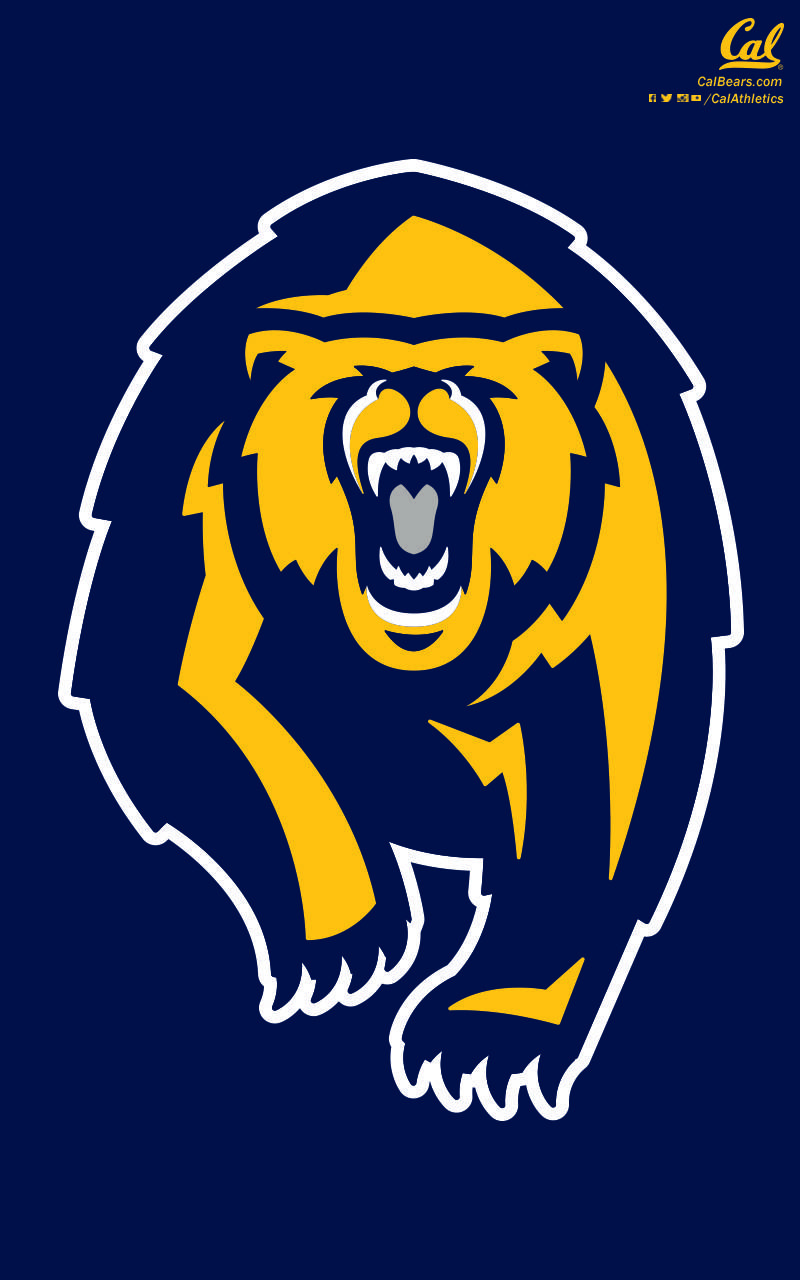 UCLA iPhone Wallpapers - Top Free UCLA iPhone Backgrounds - WallpaperAccess