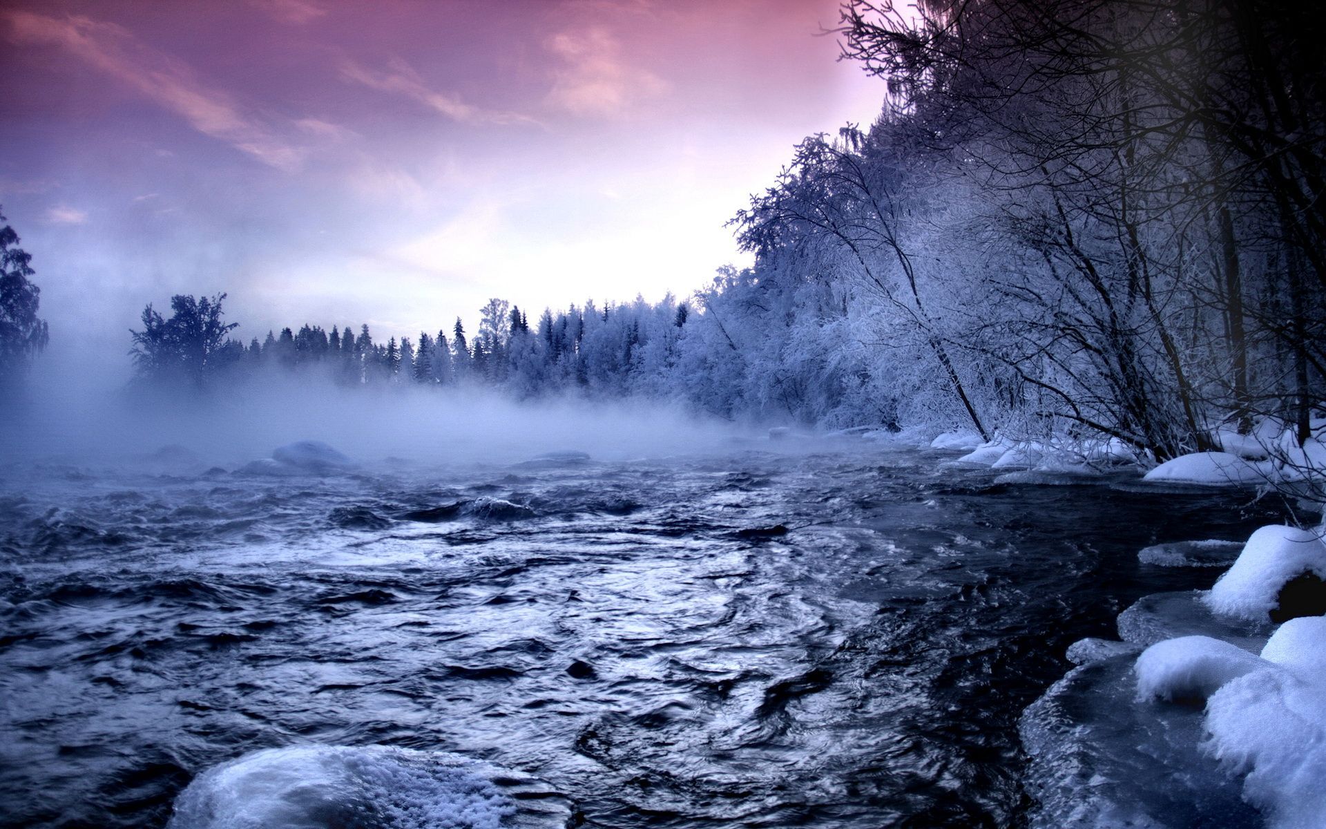 Cold Forest Wallpapers - Top Free Cold Forest Backgrounds - WallpaperAccess