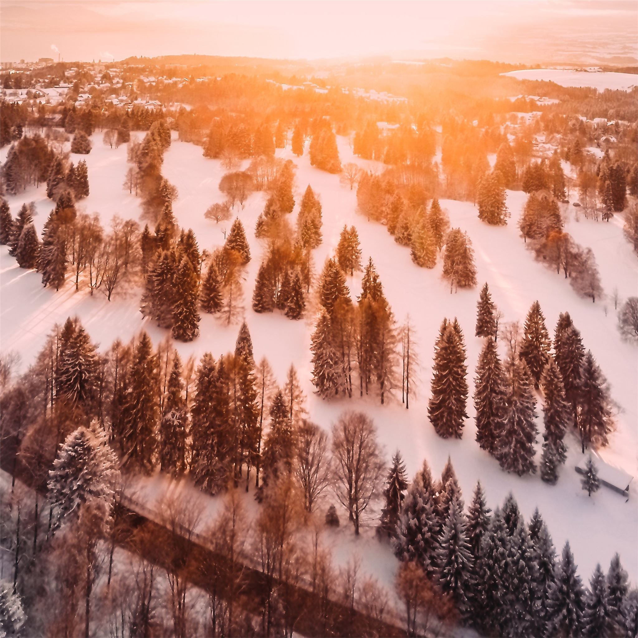 Cold Forest Wallpapers - Top Free Cold Forest Backgrounds - WallpaperAccess