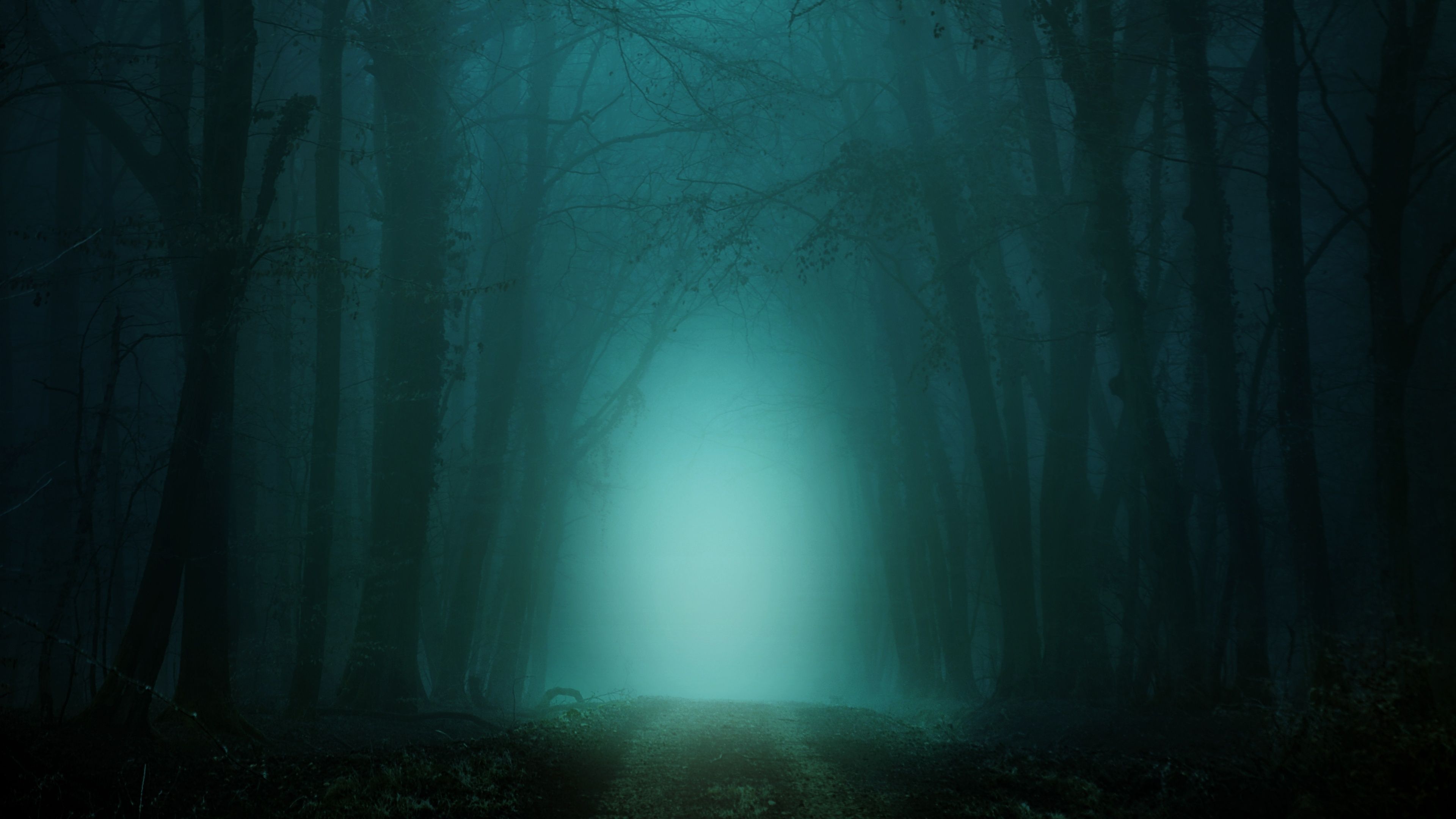 Cold Forest Wallpapers - Top Free Cold Forest Backgrounds - WallpaperAccess