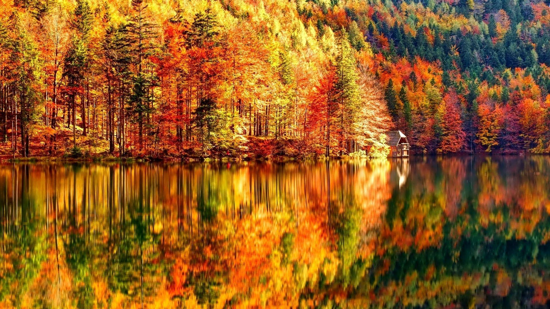 Autumn Landscape Wallpapers - Top Free Autumn Landscape Backgrounds ...