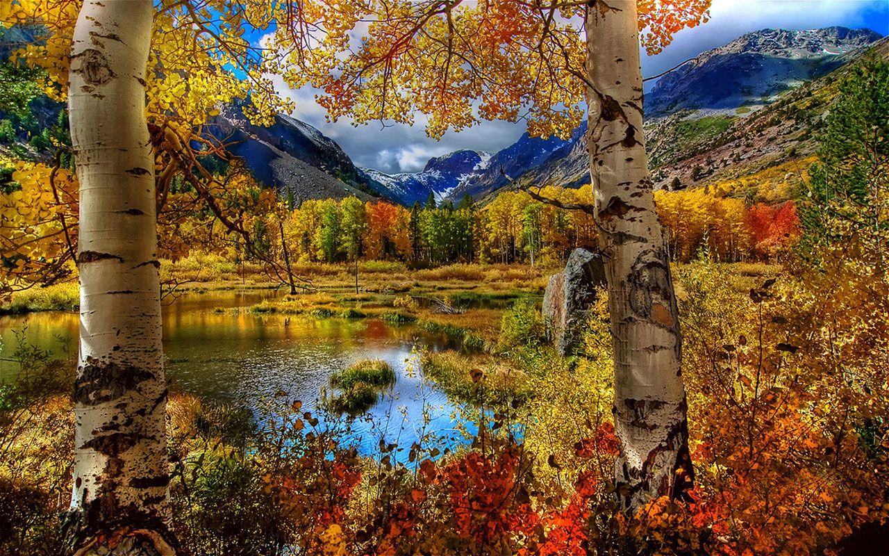 Autumn Landscape Wallpapers - Top Free Autumn Landscape Backgrounds ...