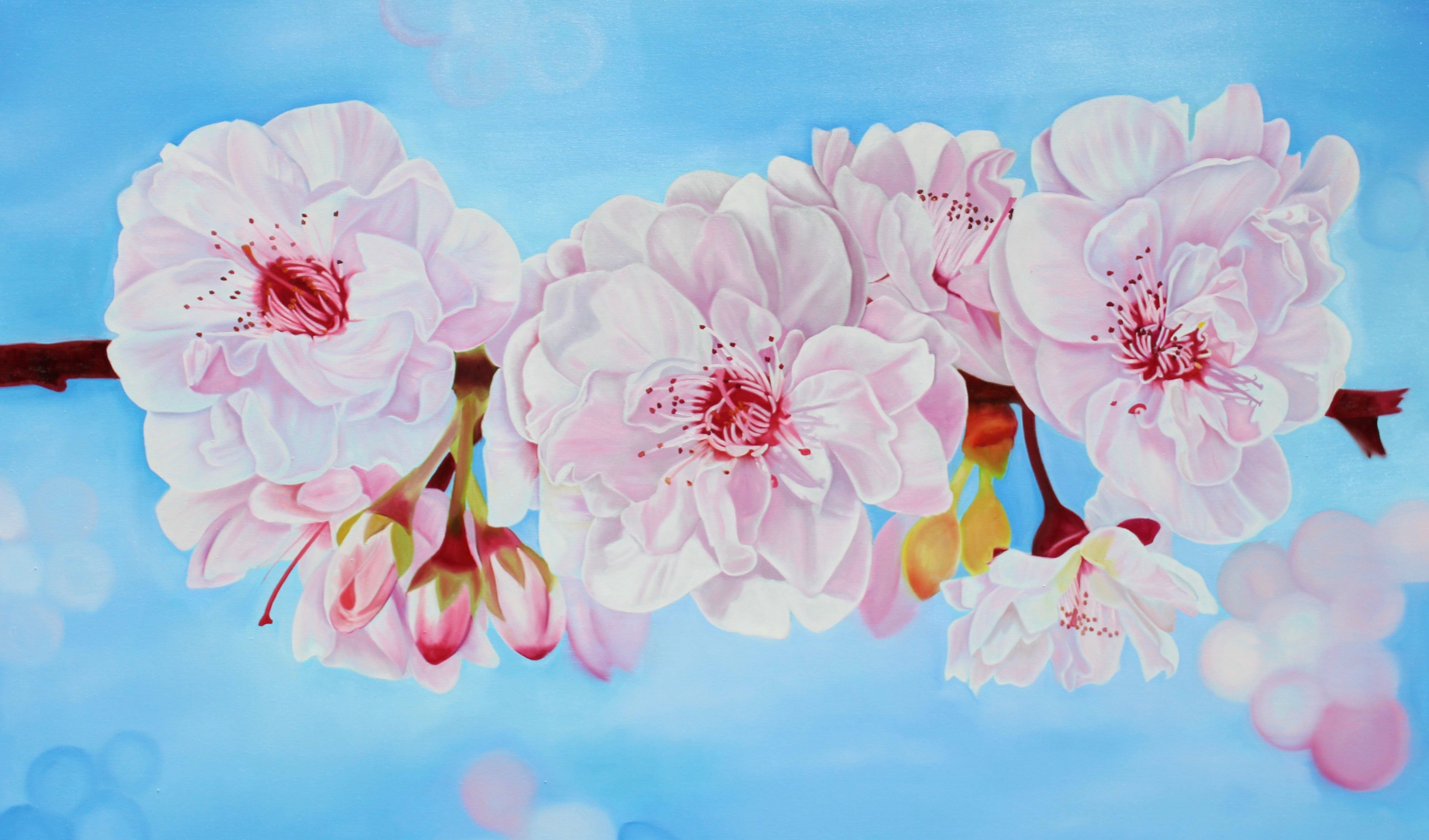 Sakura Painting Wallpapers - Top Free Sakura Painting Backgrounds ...