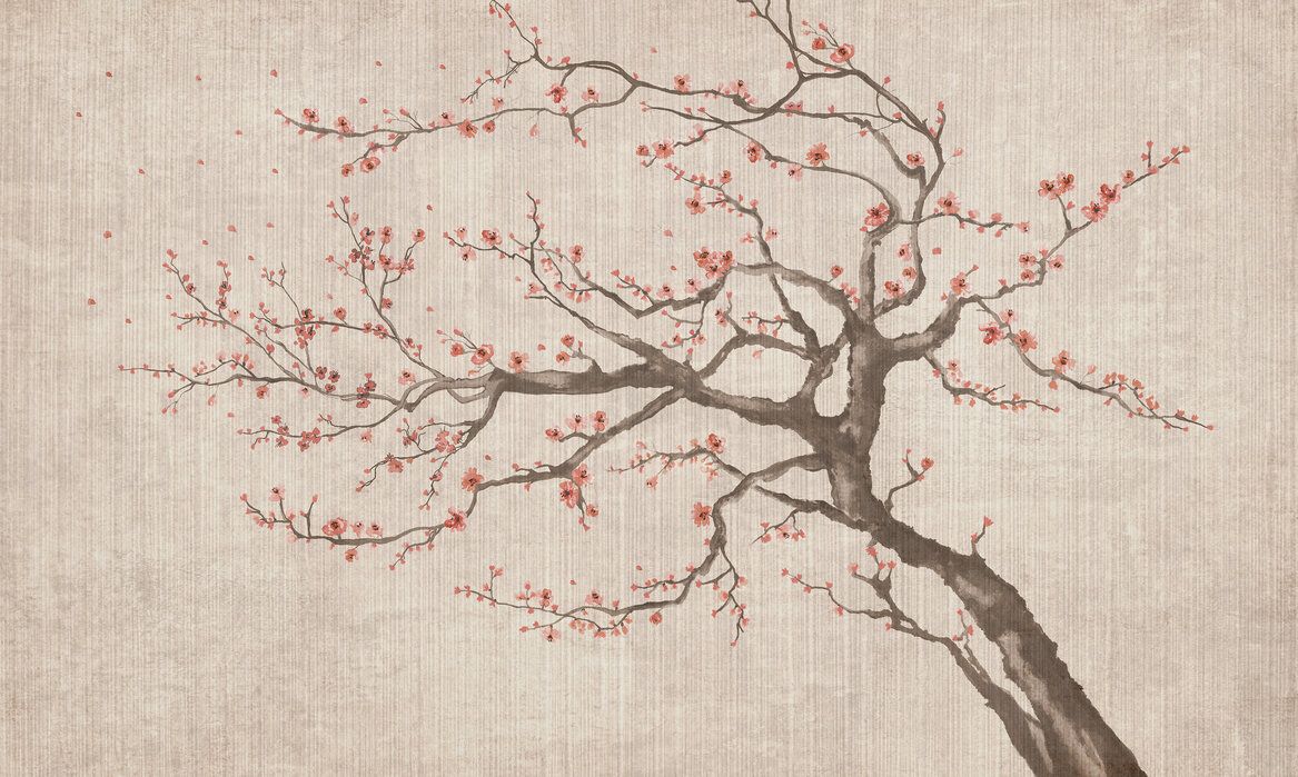 Sakura Painting Wallpapers - Top Free Sakura Painting Backgrounds ...