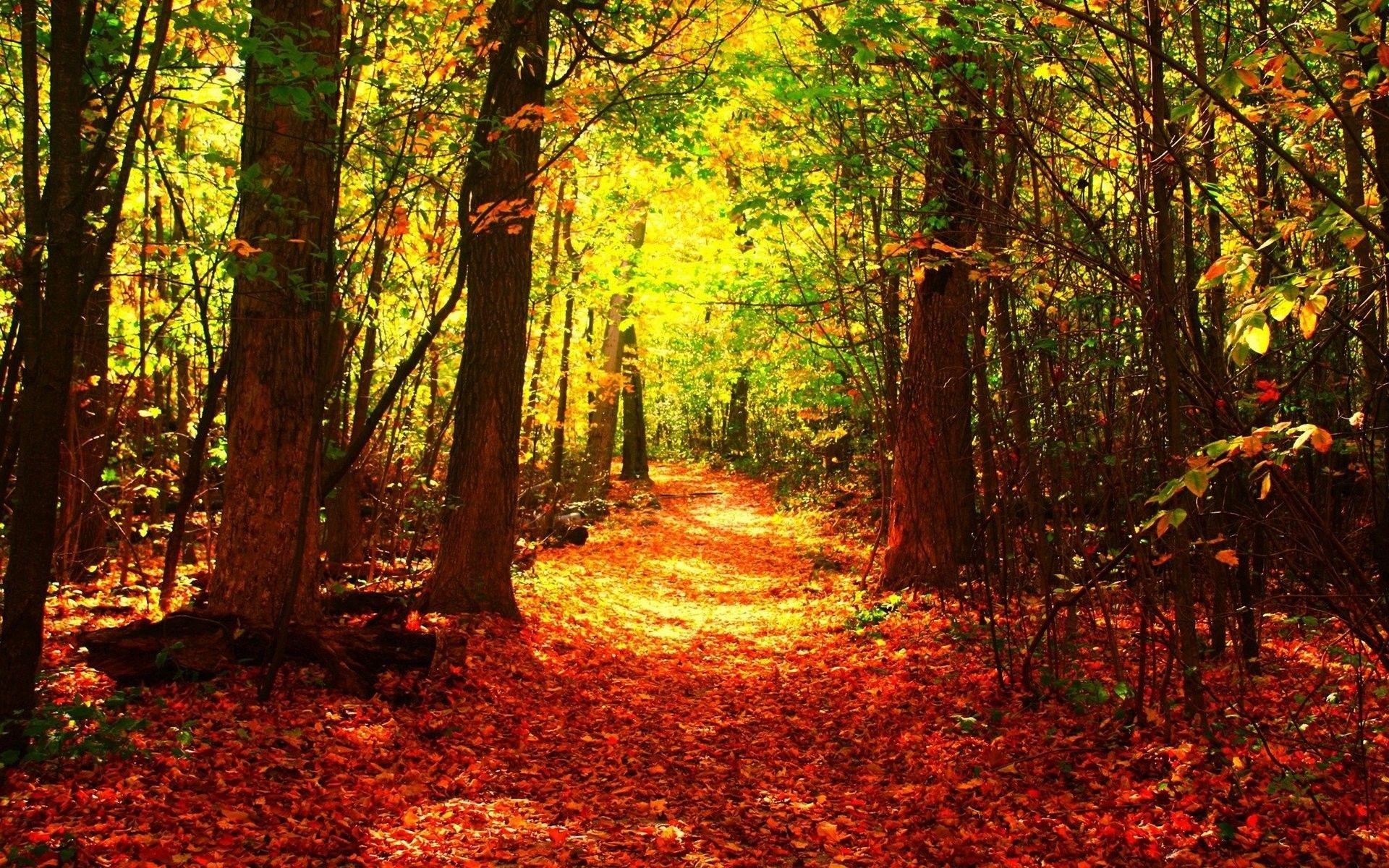 Beautiful Fall Desktop Wallpapers - Top Free Beautiful Fall Desktop ...