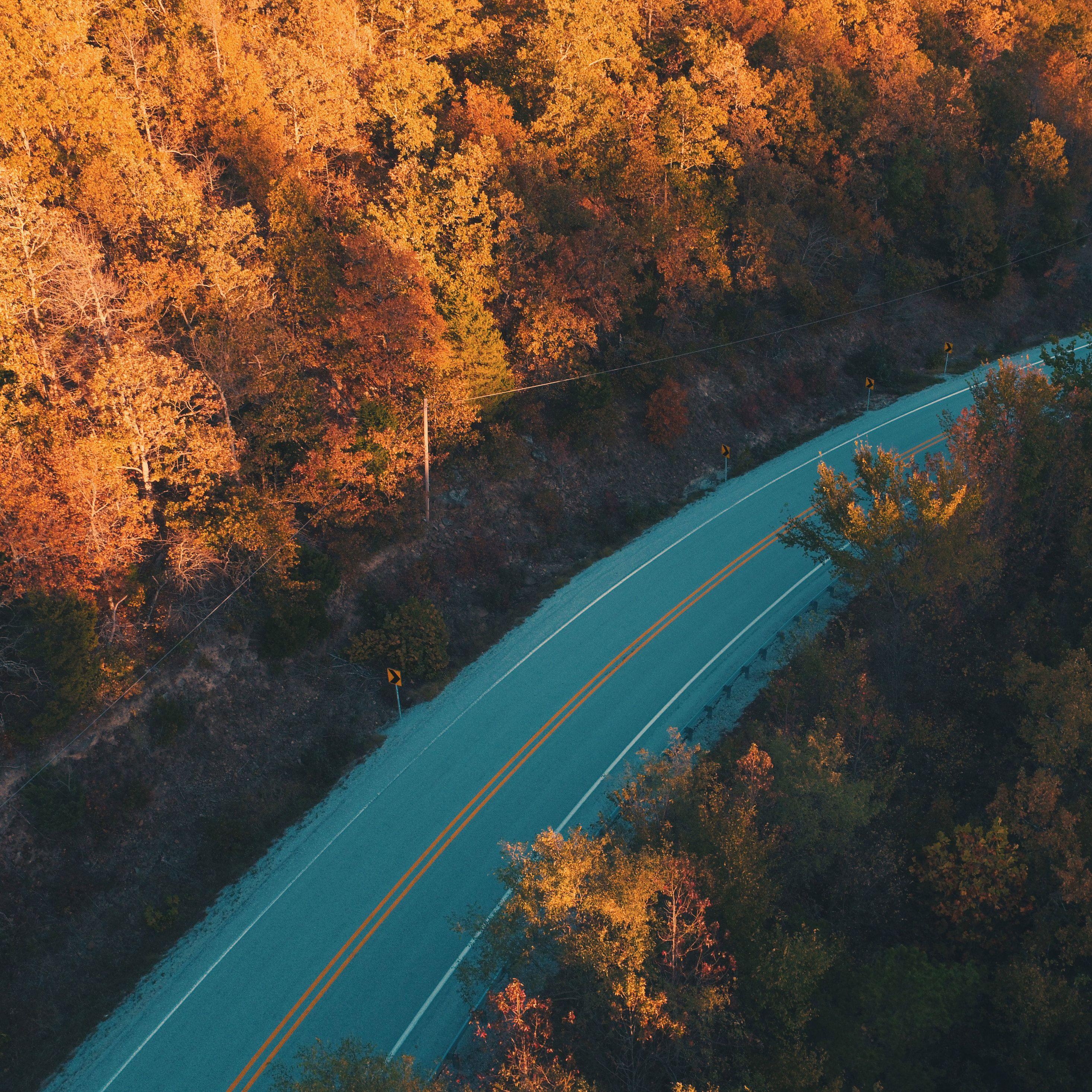 Fall Trees Wallpapers - Top Free Fall Trees Backgrounds - WallpaperAccess