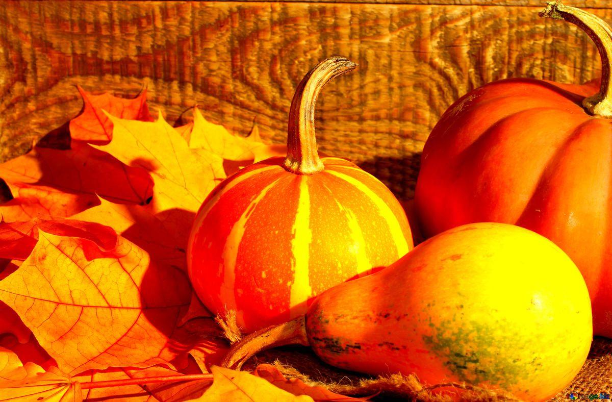 Vintage Fall Pumpkin Wallpapers - Top Free Vintage Fall Pumpkin ...