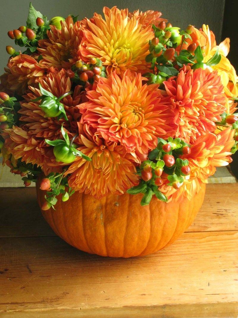 Pretty Fall Flowers Pumpkin Wallpapers - Top Free Pretty Fall Flowers ...