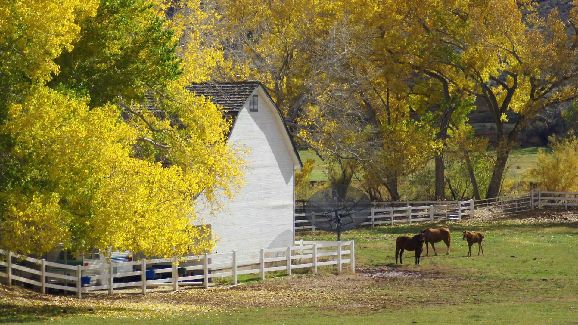 Fall Farm Wallpapers - Top Free Fall Farm Backgrounds - WallpaperAccess