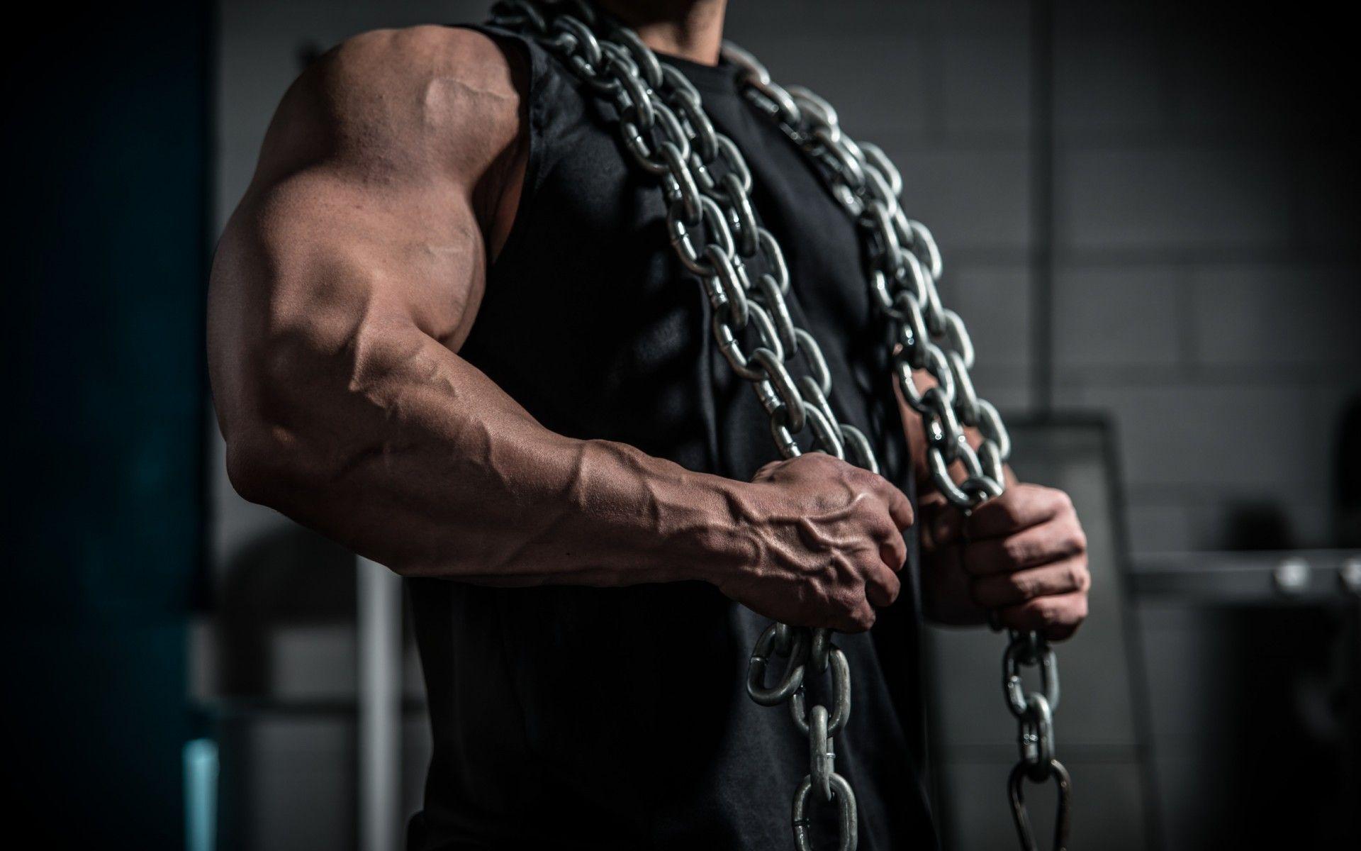 Bodybuilder Wallpapers - Top Free Bodybuilder Backgrounds - WallpaperAccess