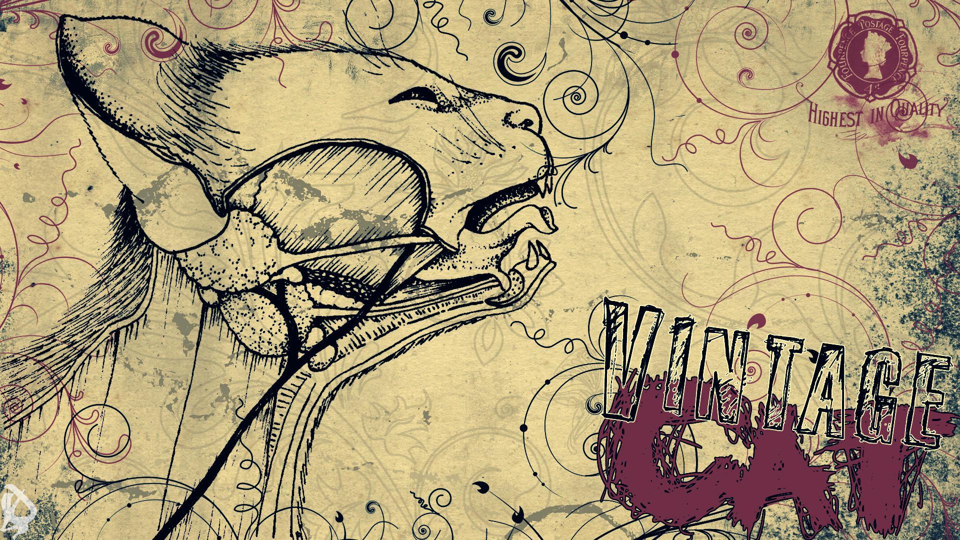 Vintage Science Wallpapers - Top Free Vintage Science Backgrounds ...