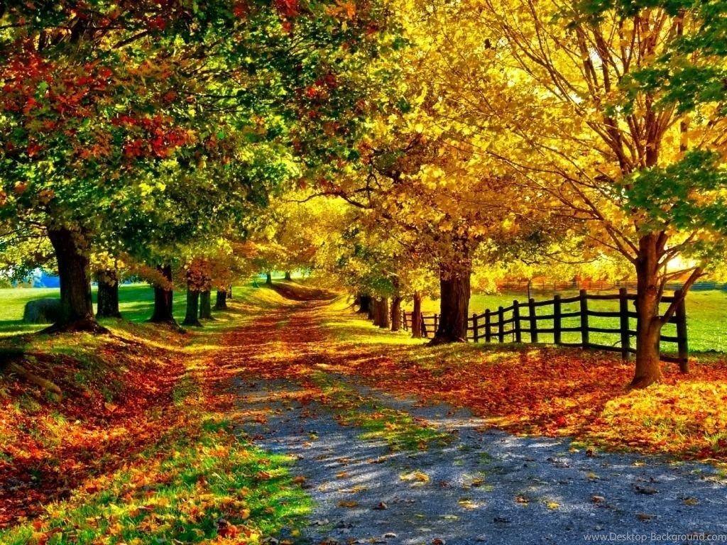 Beautiful Fall Pictures Wallpapers - Top Free Beautiful Fall Pictures ...