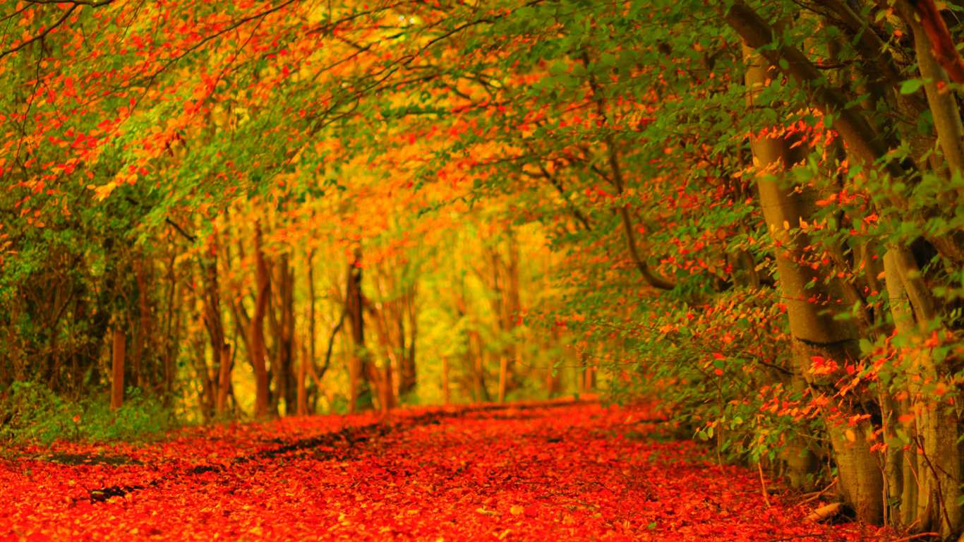 Beautiful Fall Pictures Wallpapers - Top Free Beautiful Fall Pictures ...