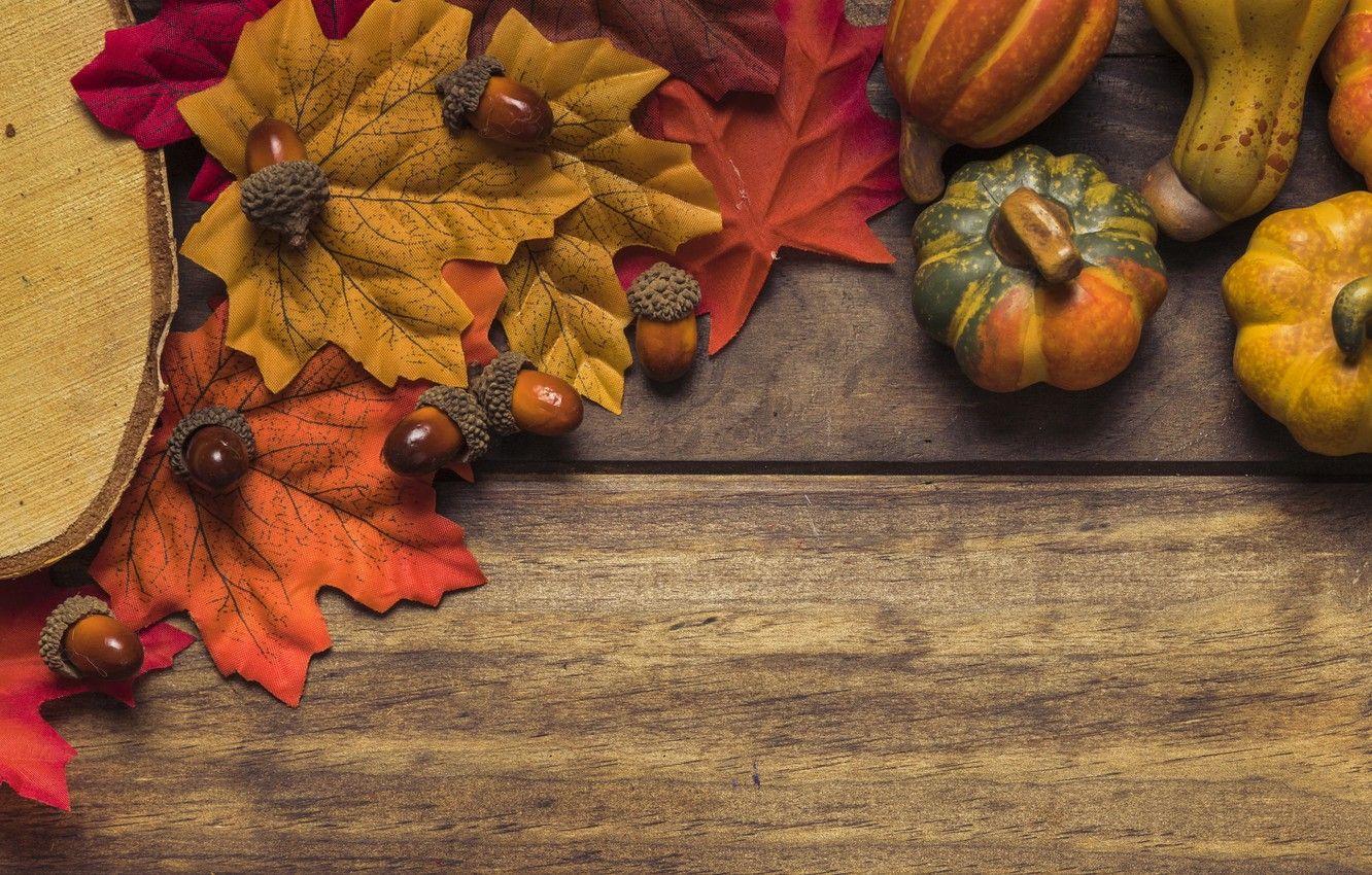 Autumn Pumpkin Wallpapers - Top Free Autumn Pumpkin Backgrounds ...