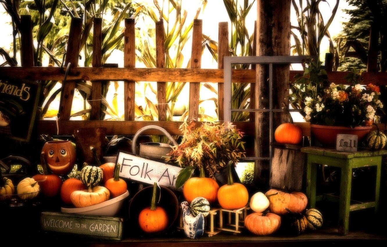 Fall Autumn Pumpkins Desktop Wallpapers - Top Free Fall Autumn Pumpkins ...