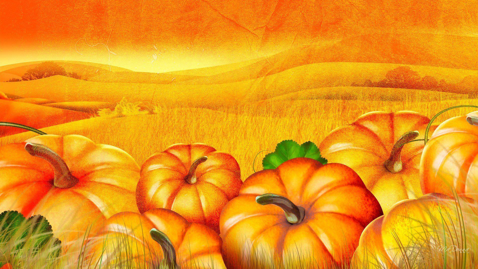 Fall Autumn Pumpkins Desktop Wallpapers - Top Free Fall Autumn Pumpkins ...